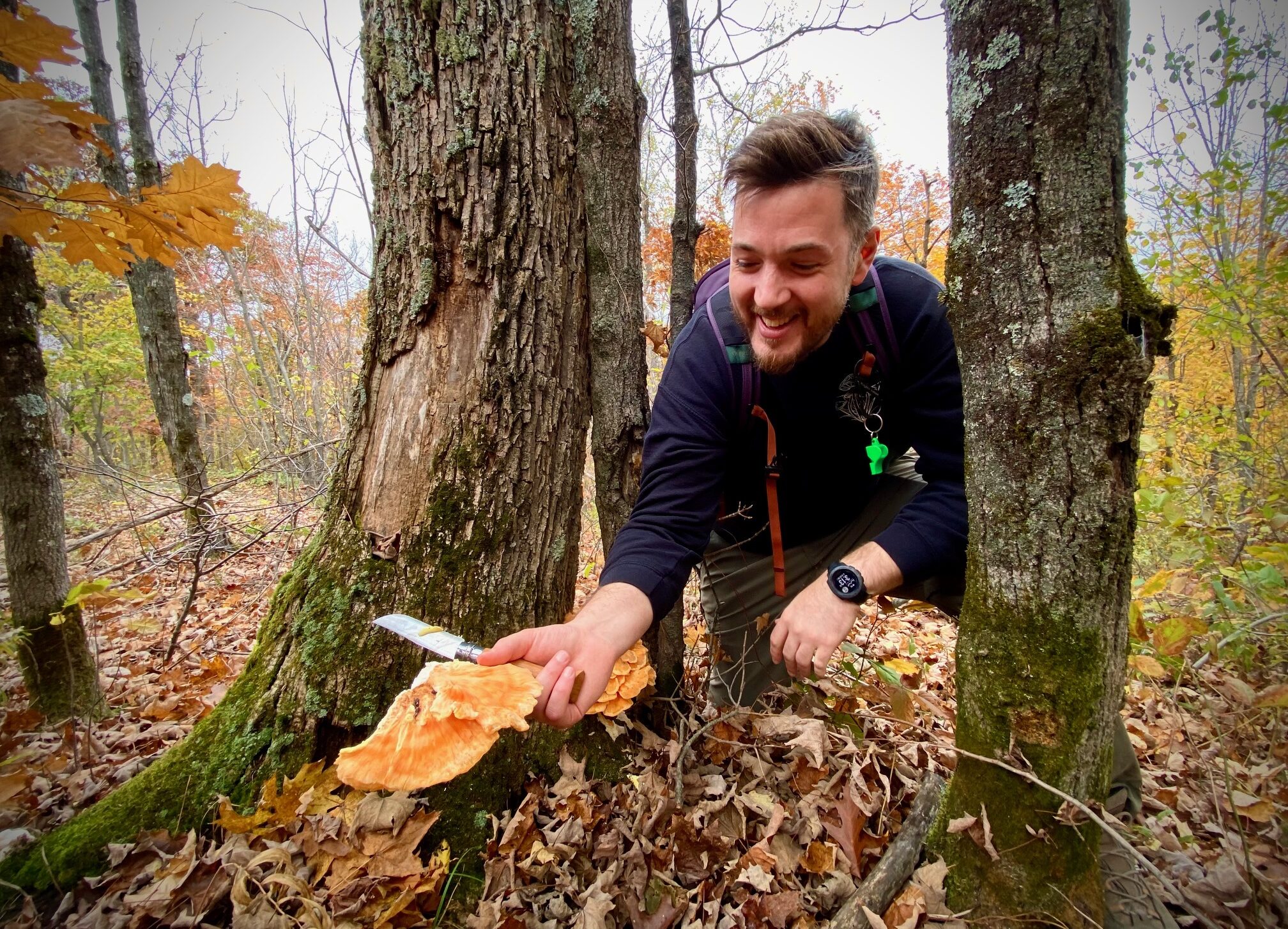 Robert Courteau on the fungiverse beneath our feet | Canadian Geographic