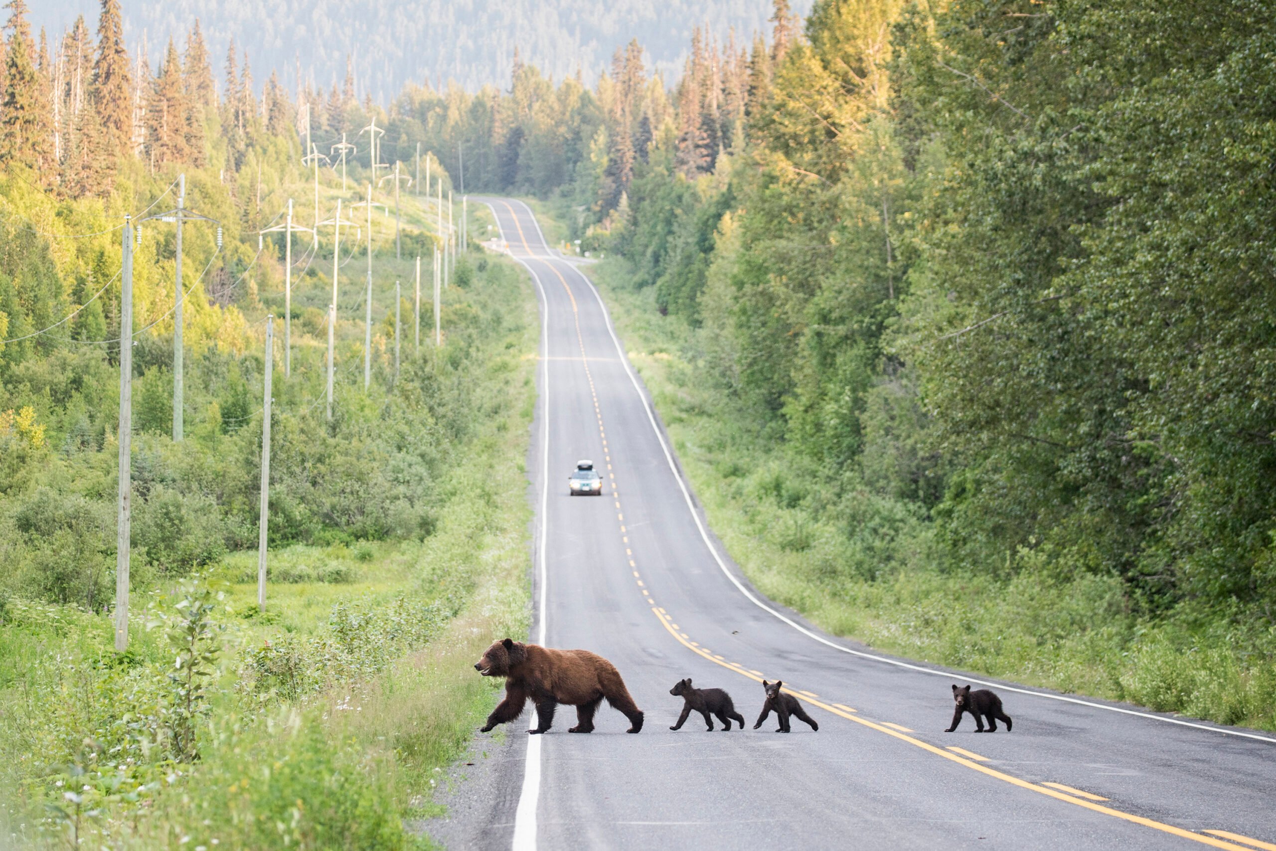 Crossing Paths: New photography project takes aim at the impacts of ...