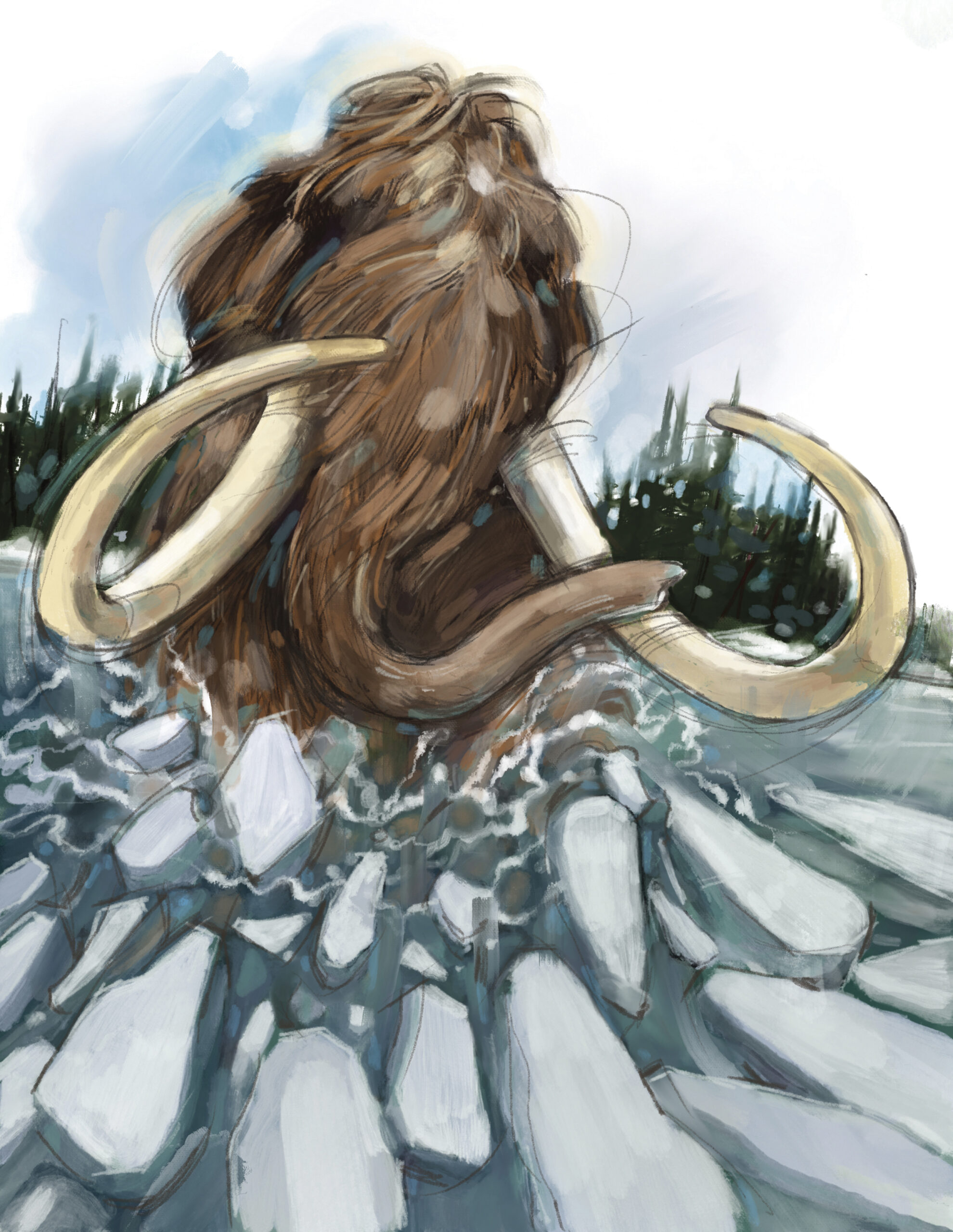 Our fascination with mammoths | Canadian Geographic