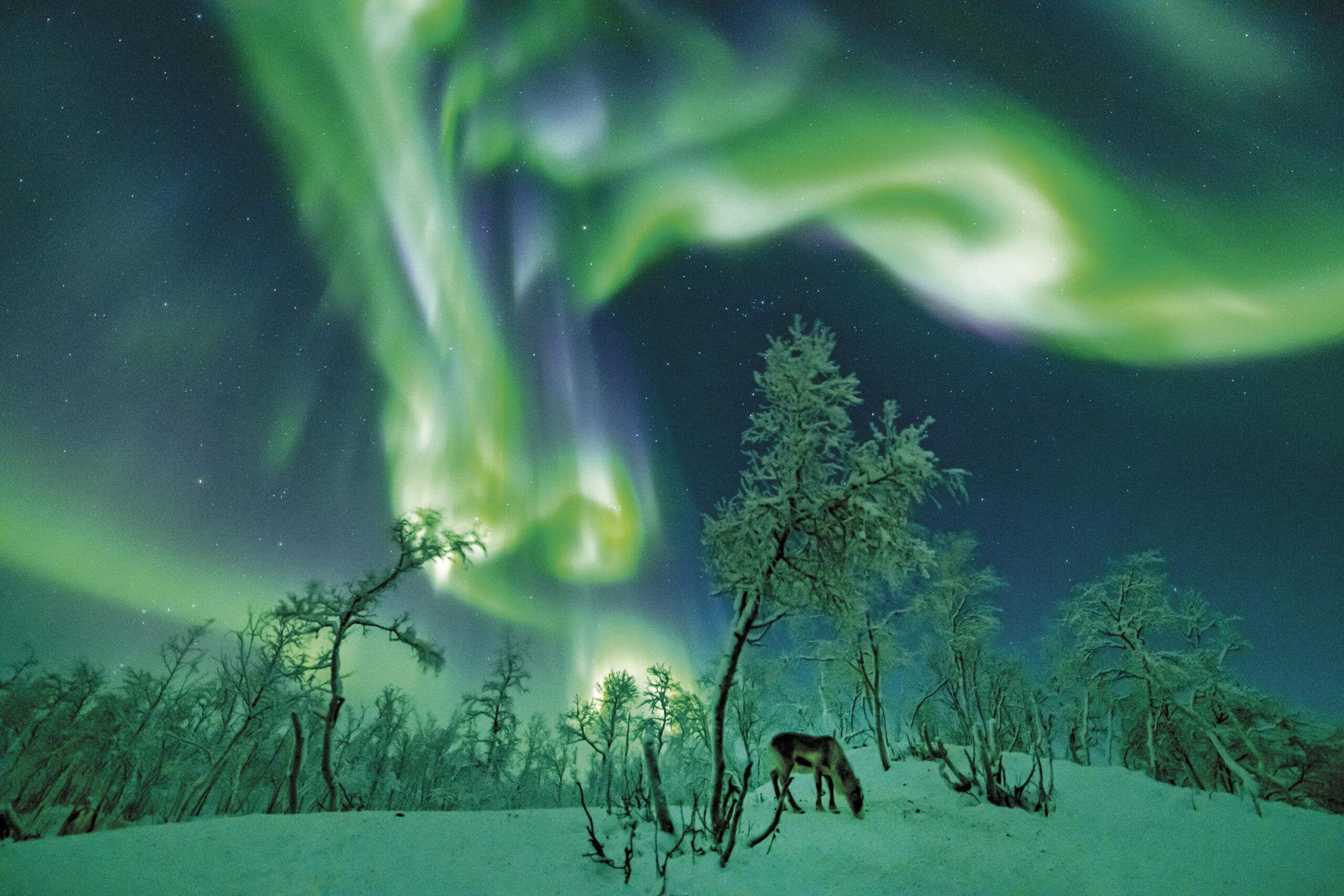 The Sámi side of Tromsø, Norway | Canadian Geographic