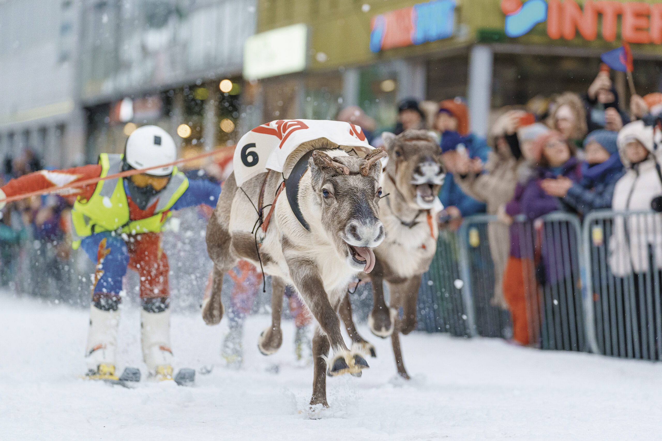 The Sámi side of Tromsø, Norway | Canadian Geographic