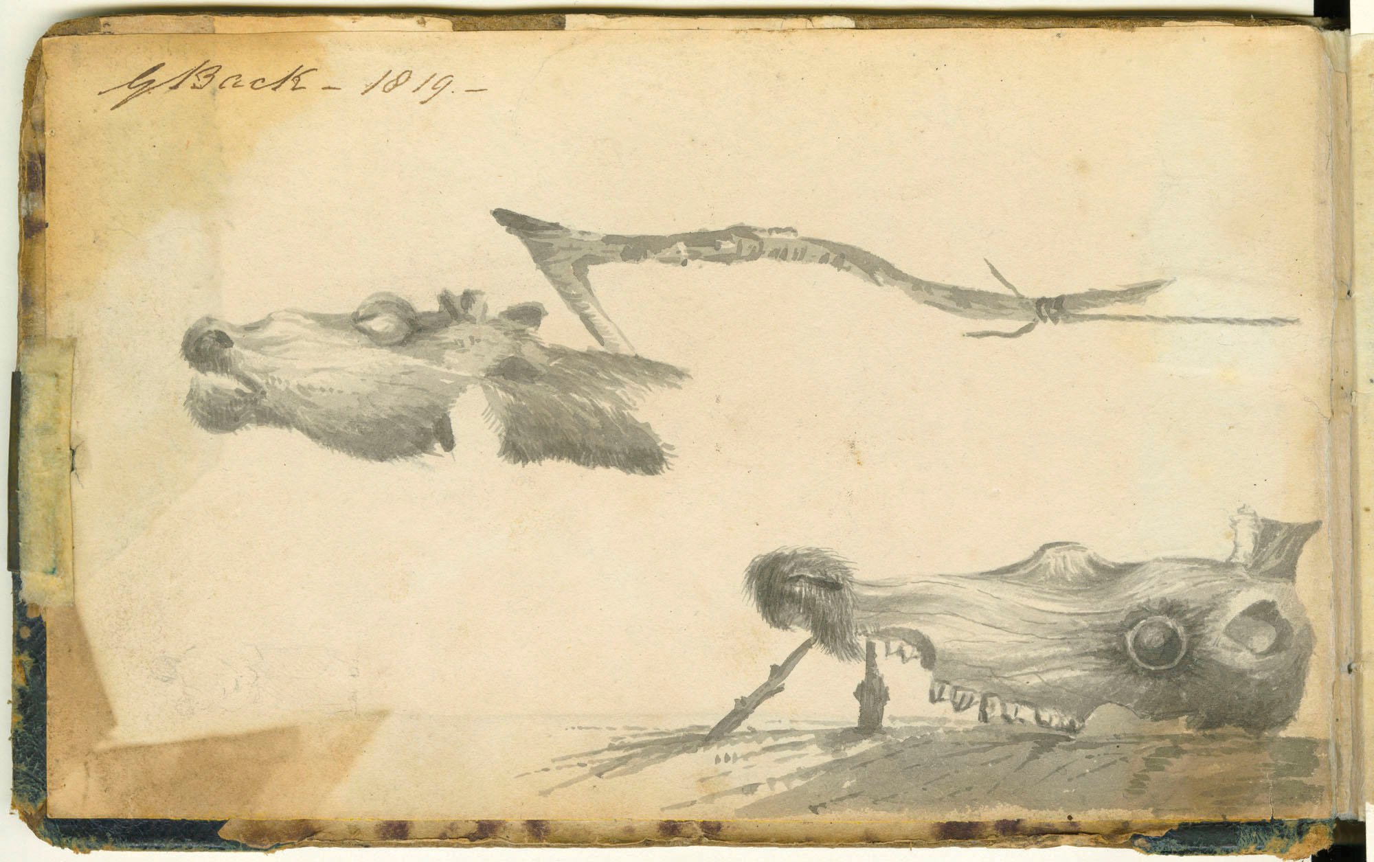 George Back: The expedition’s artist | Canadian Geographic