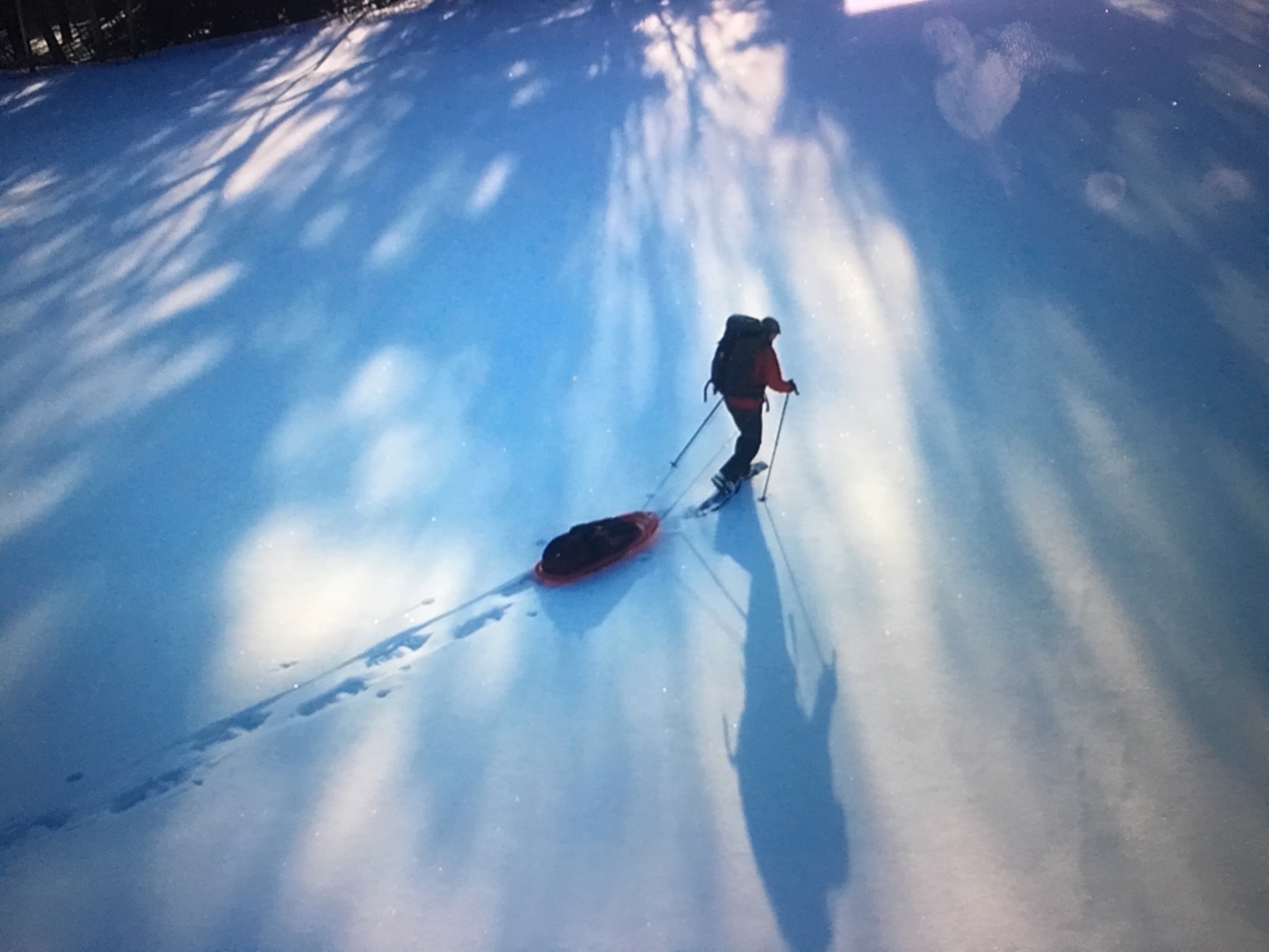 500 Days in the Wild: Walking the Trans Canada Trail with Dianne Whelan ...