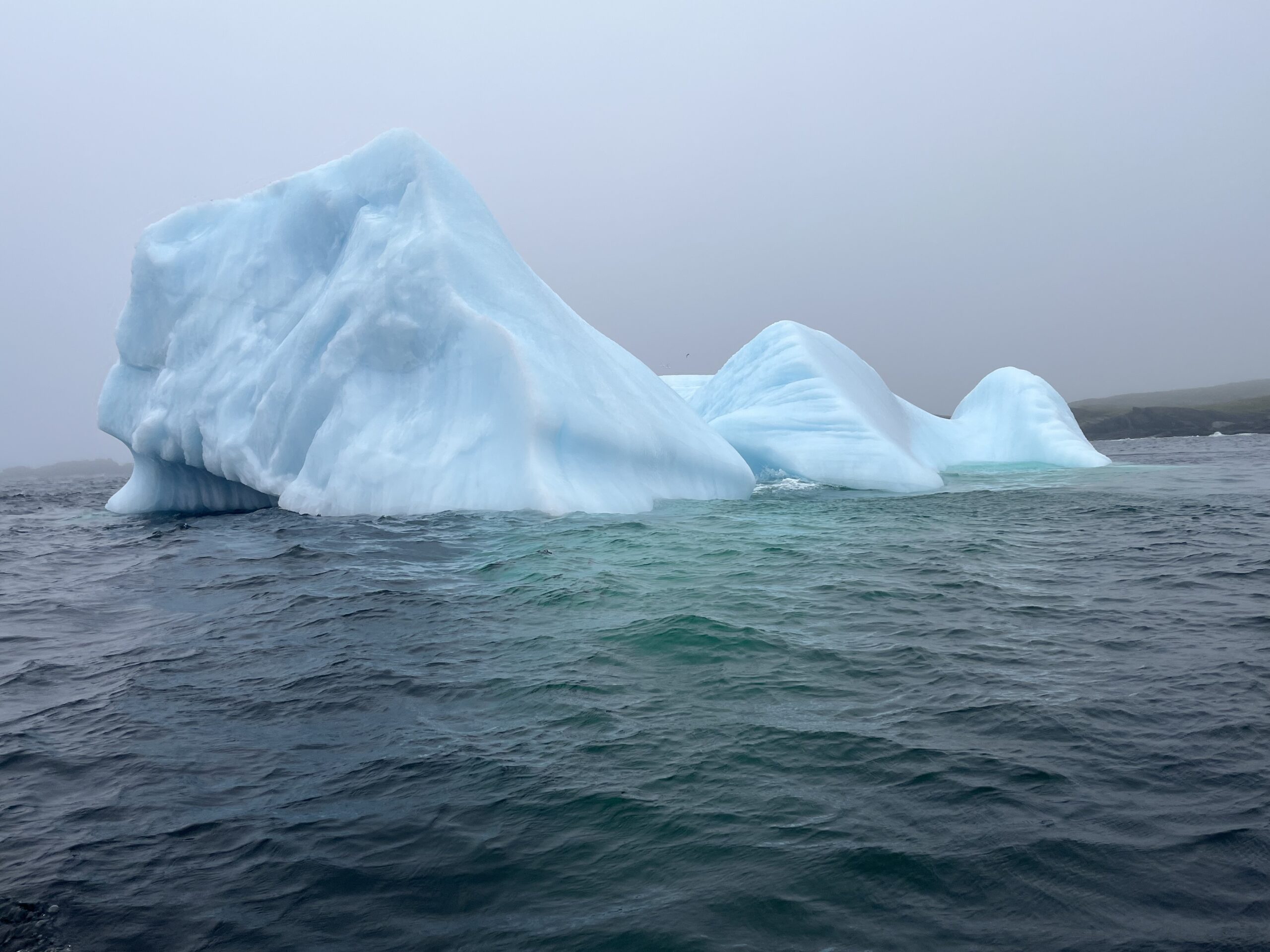Finding wonder in Western Newfoundland | Canadian Geographic