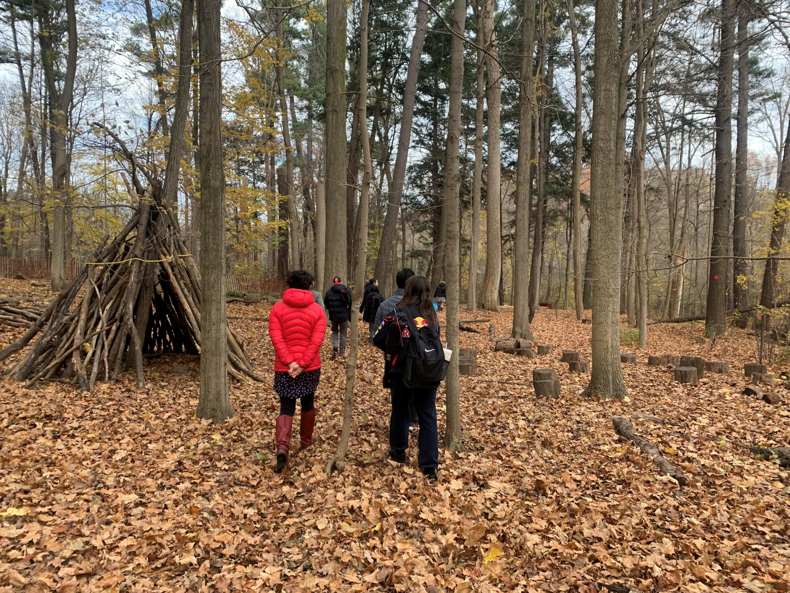 Toronto high school students are shoring up urban biodiversity, one ...