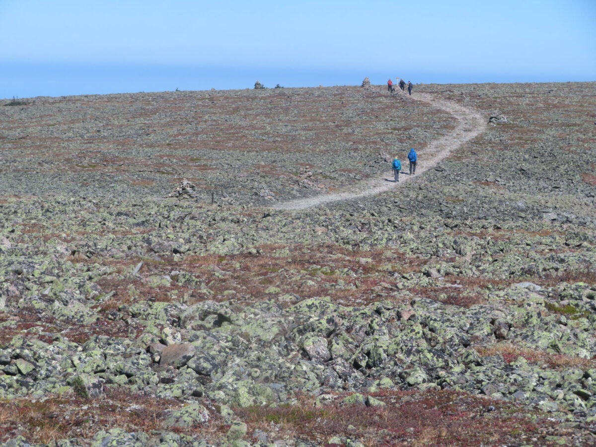 Hiking on the Gaspé Peninsula | Canadian Geographic