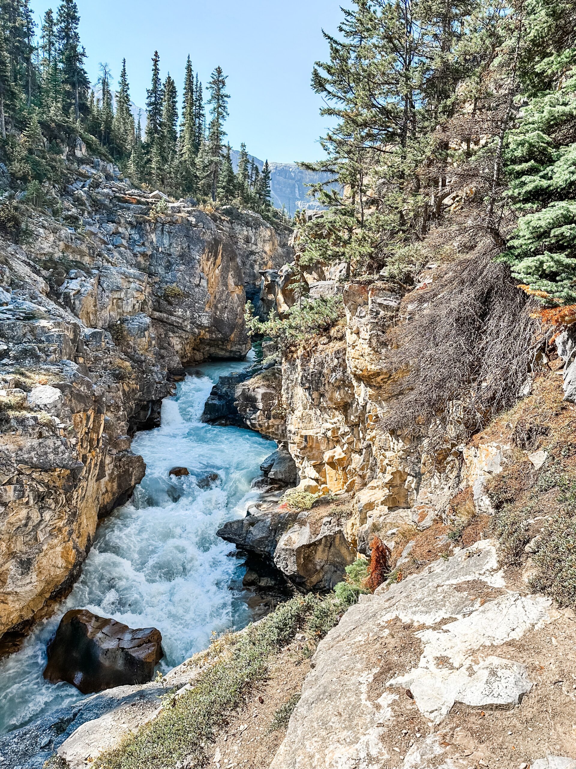 Lodge at Bow Lake: A cozy retreat among the peaks | Canadian Geographic