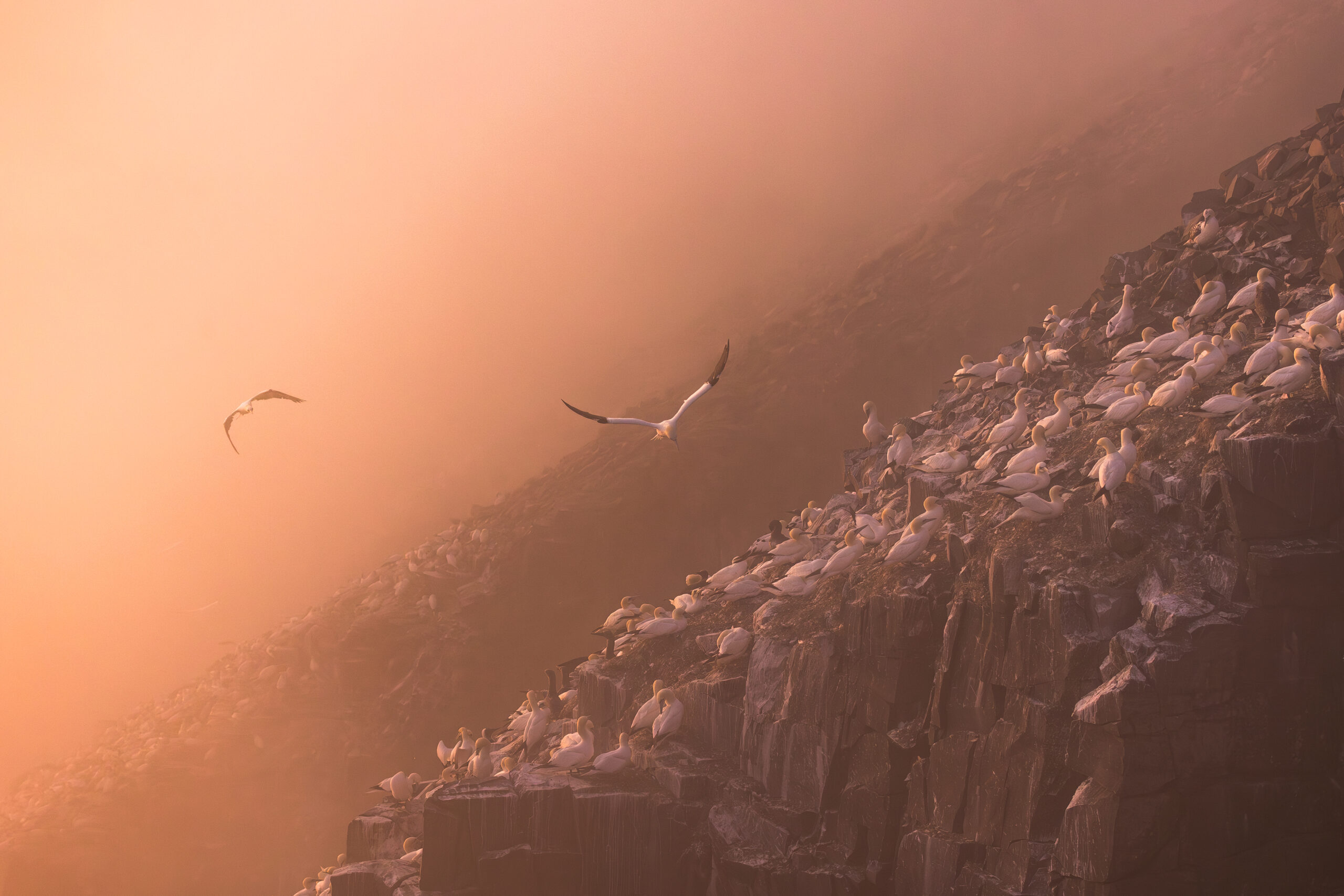 Announcing the winners of the 2023 ECOP Canada Ocean Decade Photo Competition | Canadian Geographic