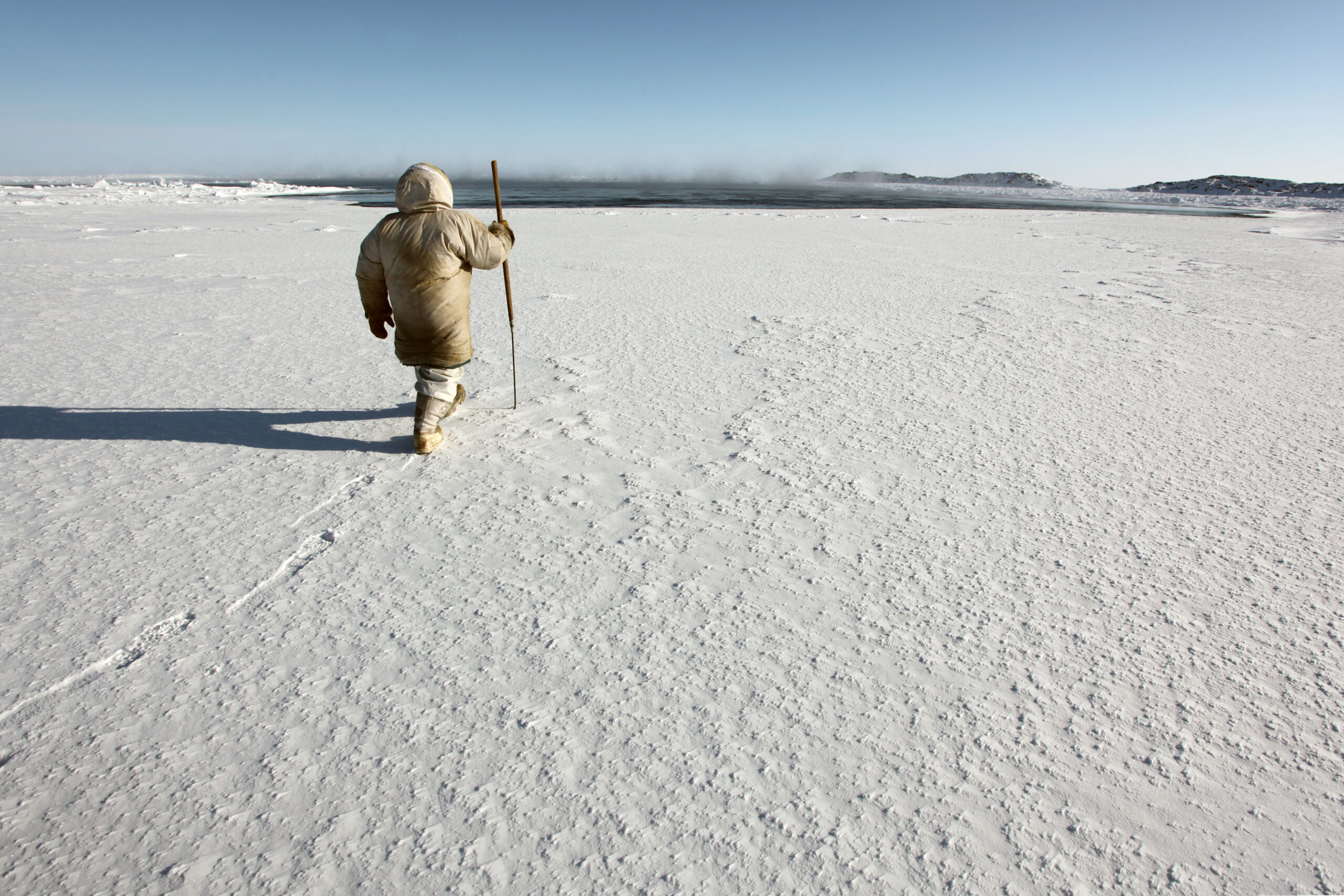 Inuit-developed app is helping Indigenous communities harness data to ...