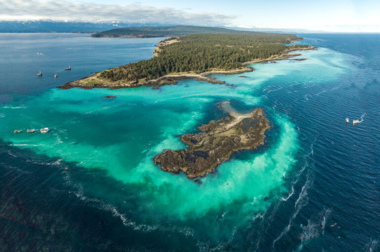 Documenting the herring run | Canadian Geographic