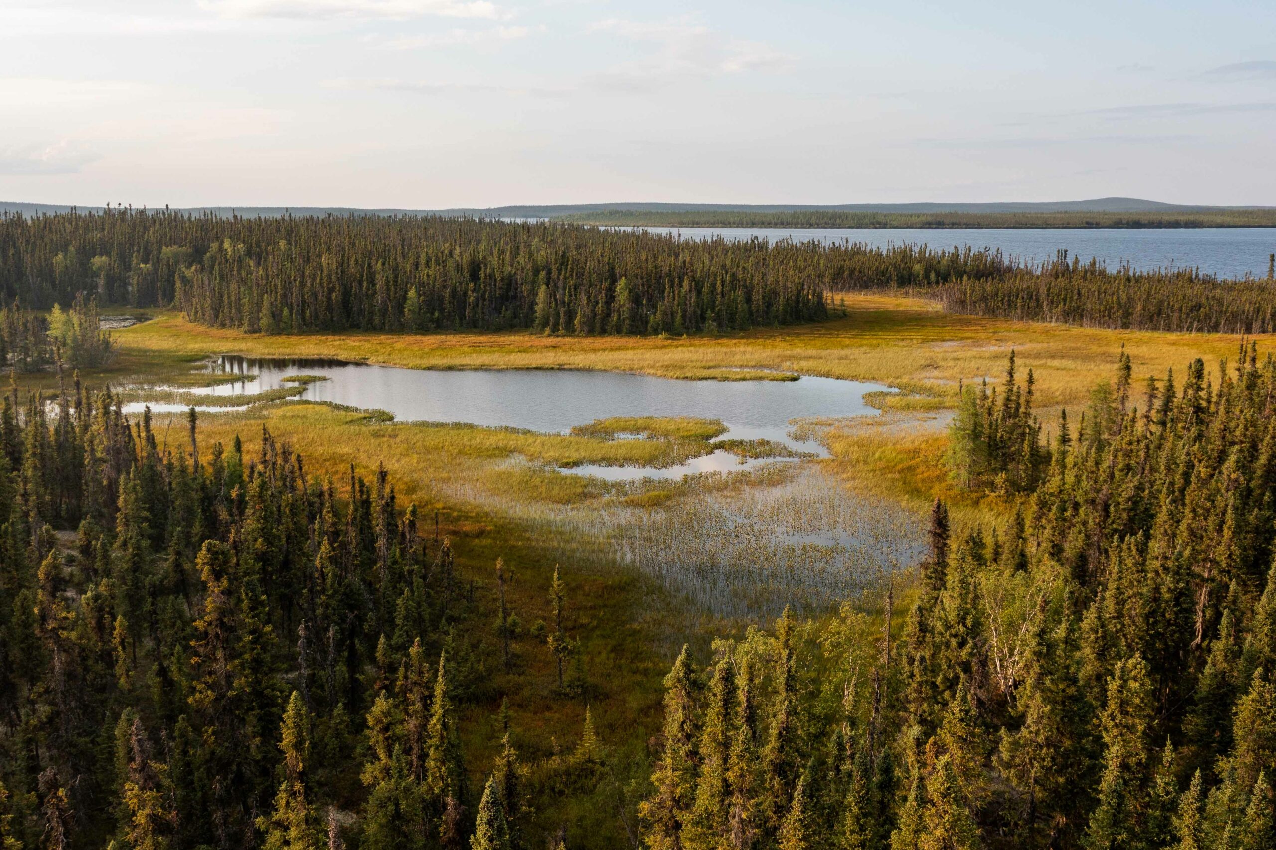 How four Manitoba First Nations are protecting one of the world’s ...