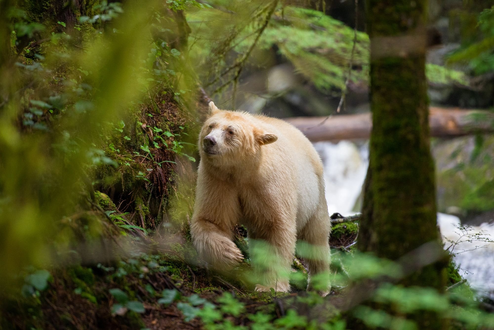 Behind the scenes of the award-winning documentary Keepers of the Land ...
