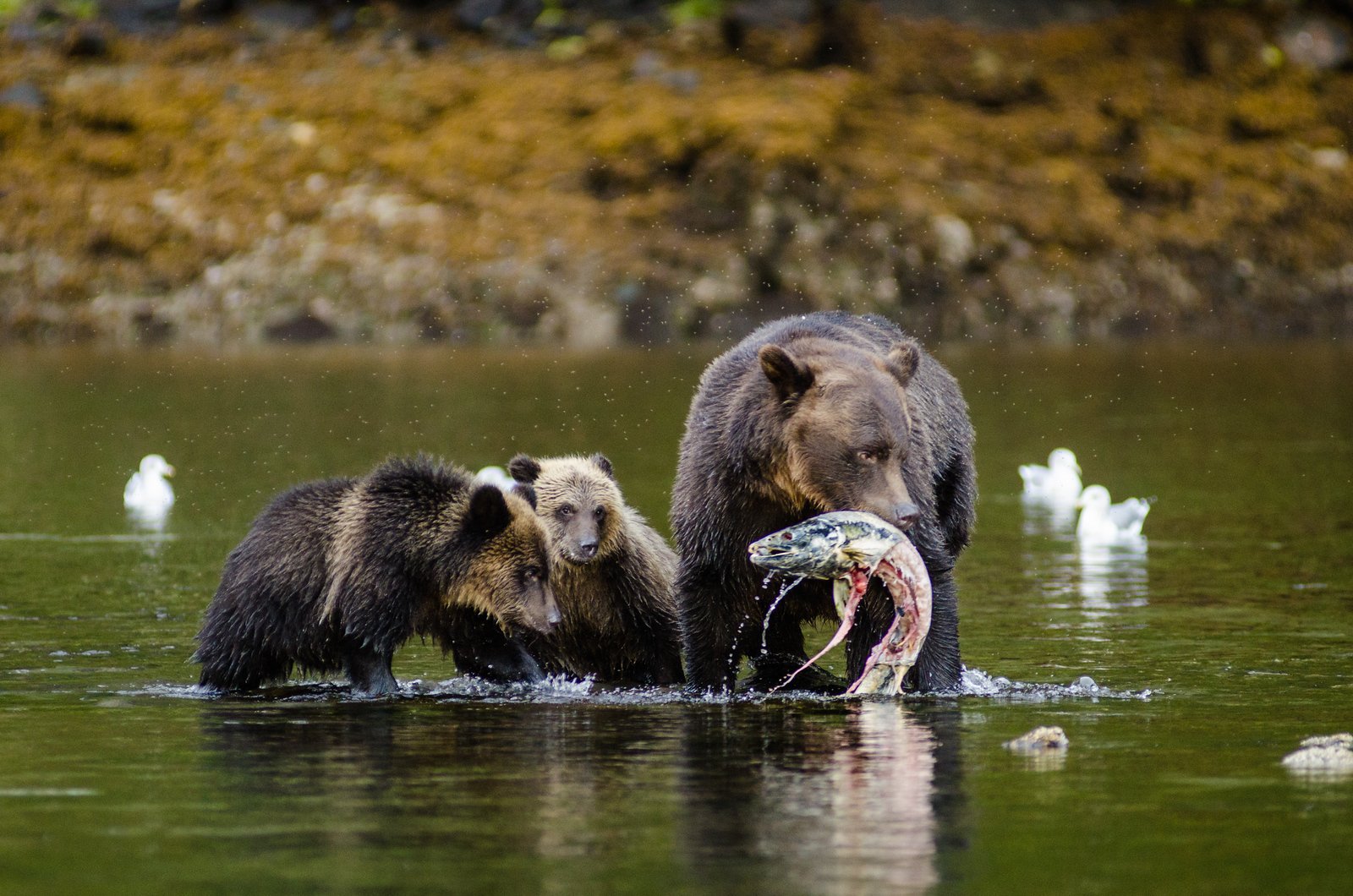 Behind the scenes of the award-winning documentary Keepers of the Land ...