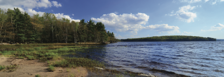 The untold story of the “Canadian Mayflower:” A family roots journey in ...