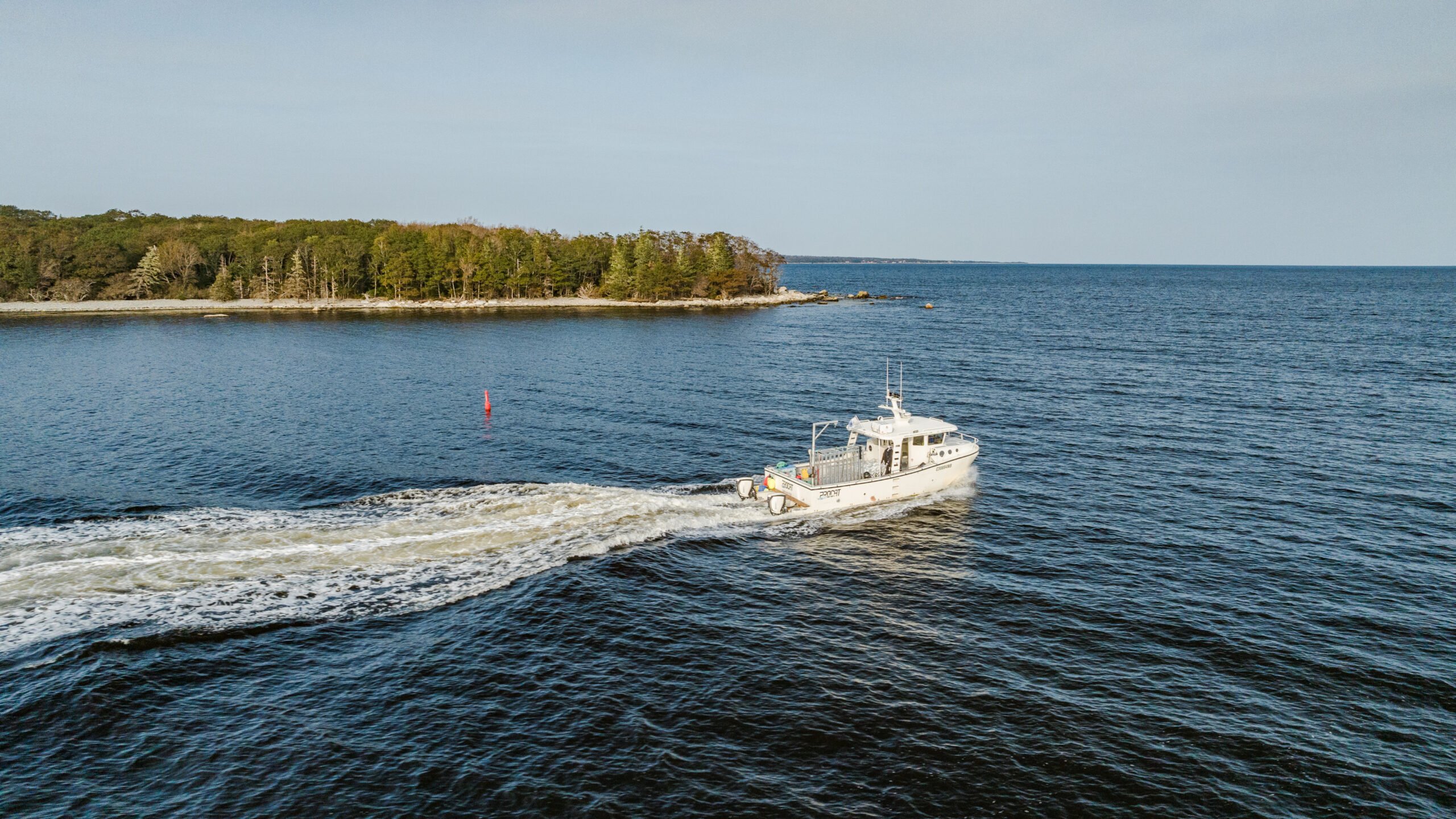 Shark tales: Canada’s great whites | Canadian Geographic