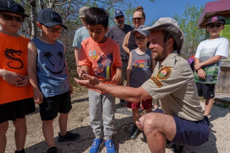 Snakes on a plain: Manitoba’s Narcisse Snake Dens | Canadian Geographic