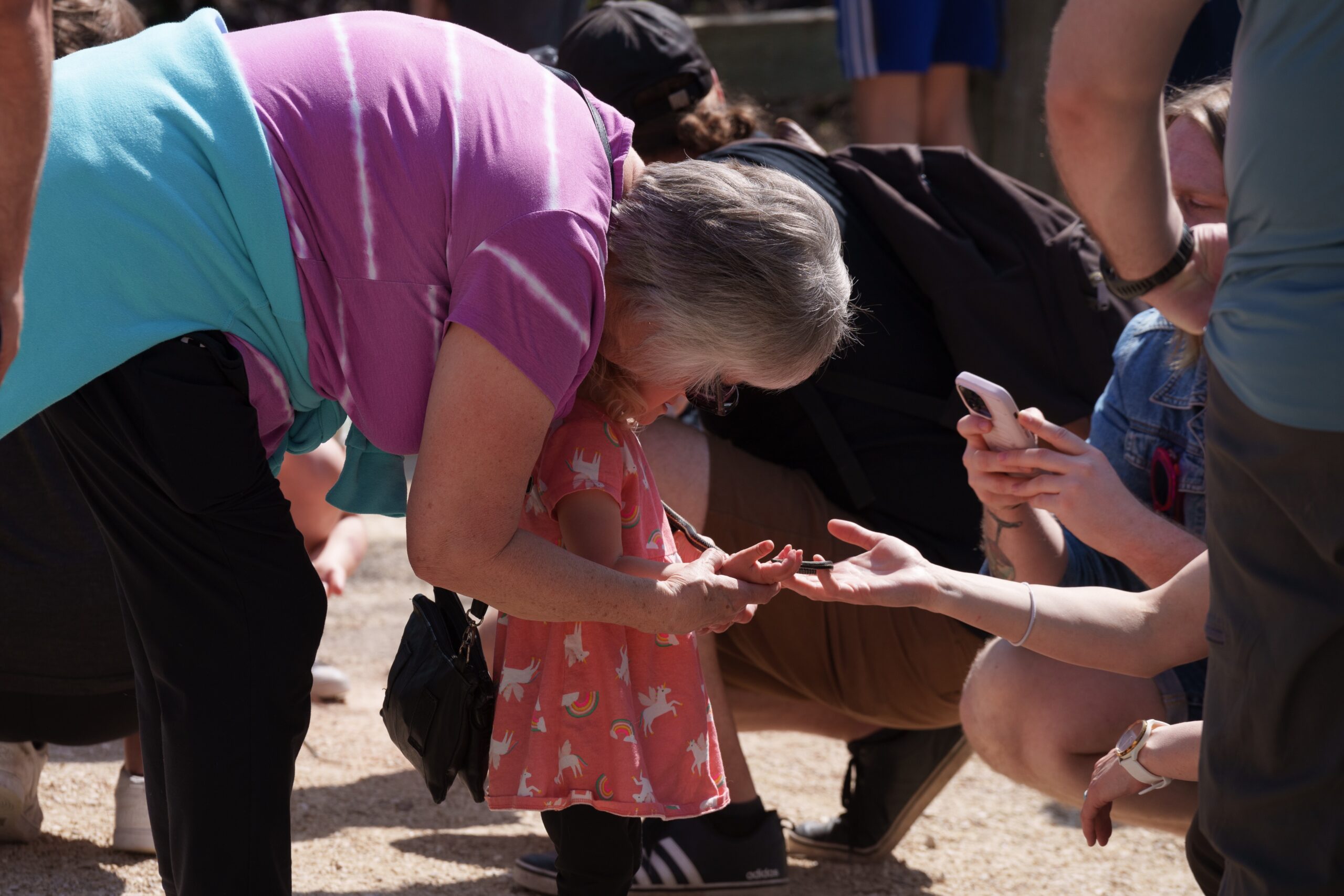 Snakes on a plain: Manitoba’s Narcisse Snake Dens | Canadian Geographic