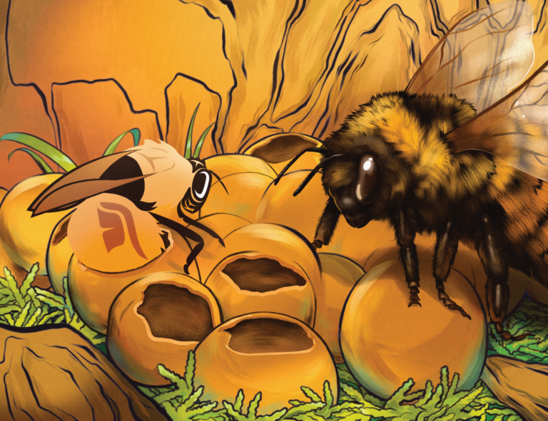 Excerpt from The Bee Mother | Canadian Geographic