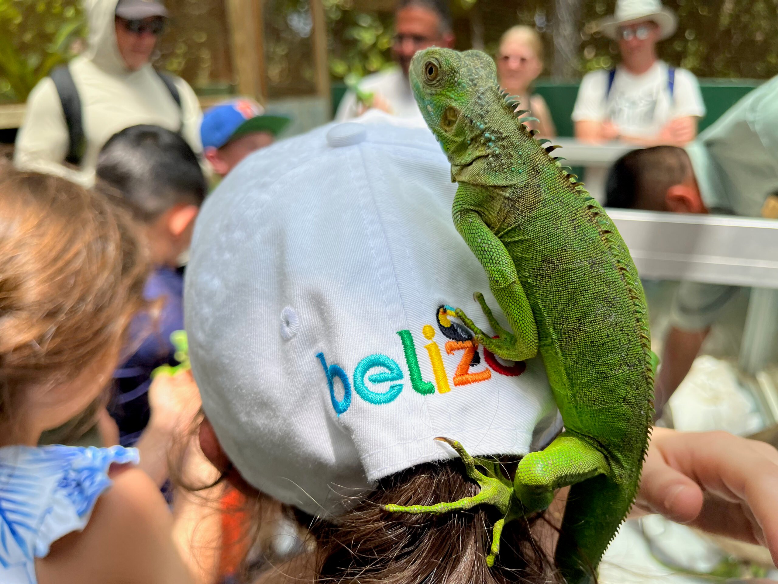 Belize from above and below — plus scuba diving with kids! | Canadian Geographic