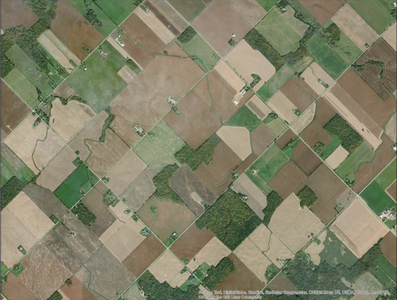 Conservation translocation: helping endangered plants recover ...