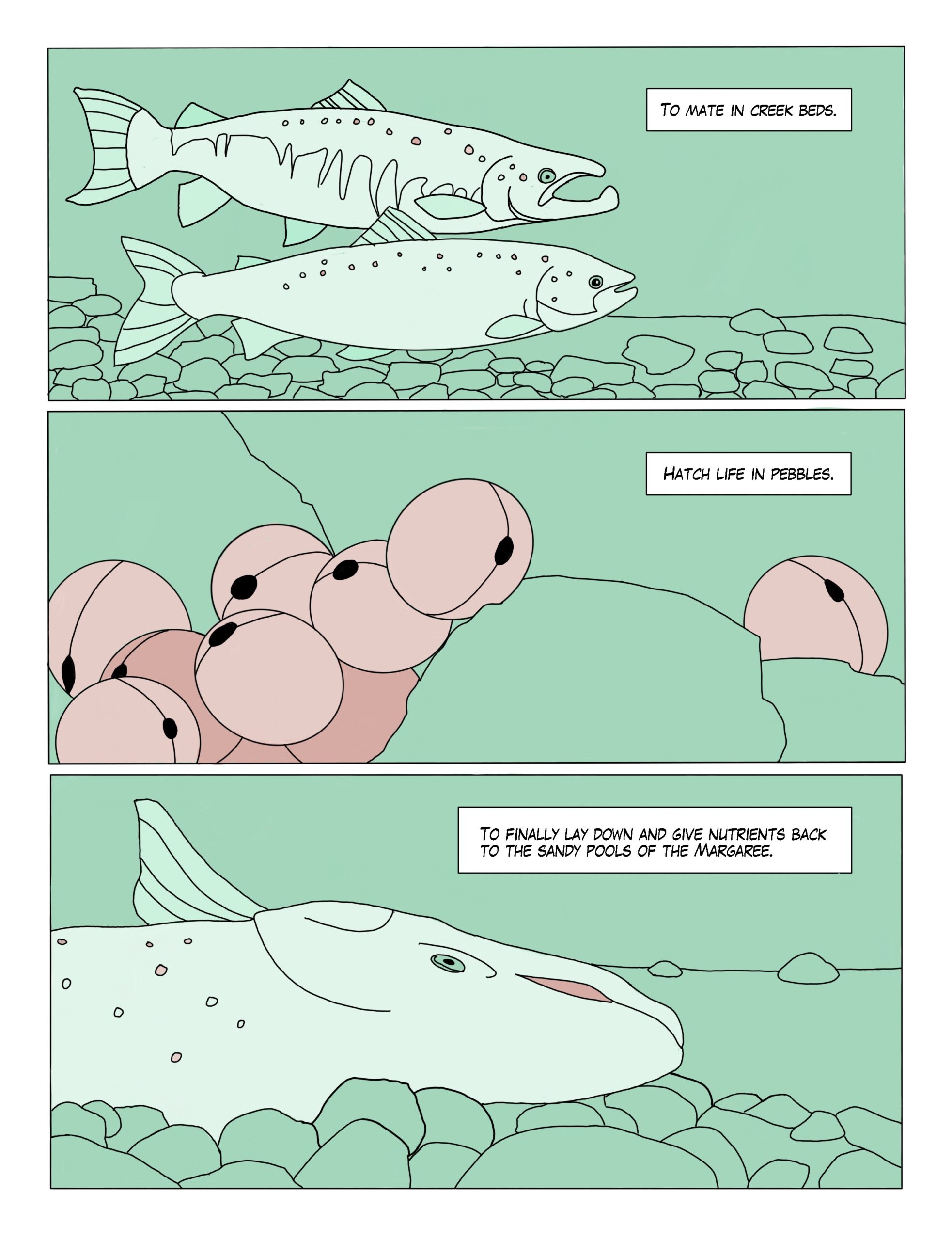 Salmon Run: humour, happiness and hope on the highways and great rivers ...