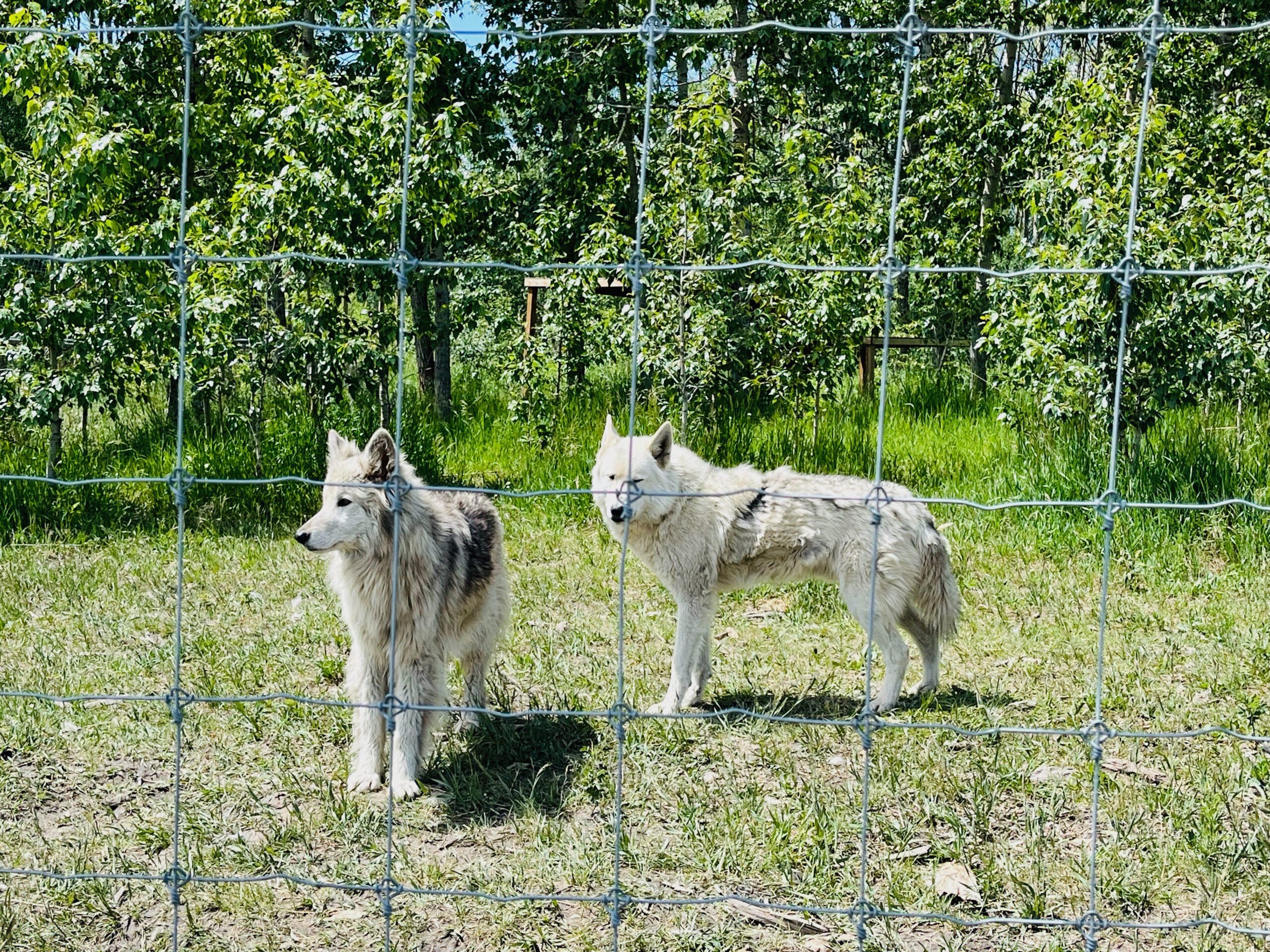 Highlights from The Great Western Canada Bucket List | Canadian Geographic