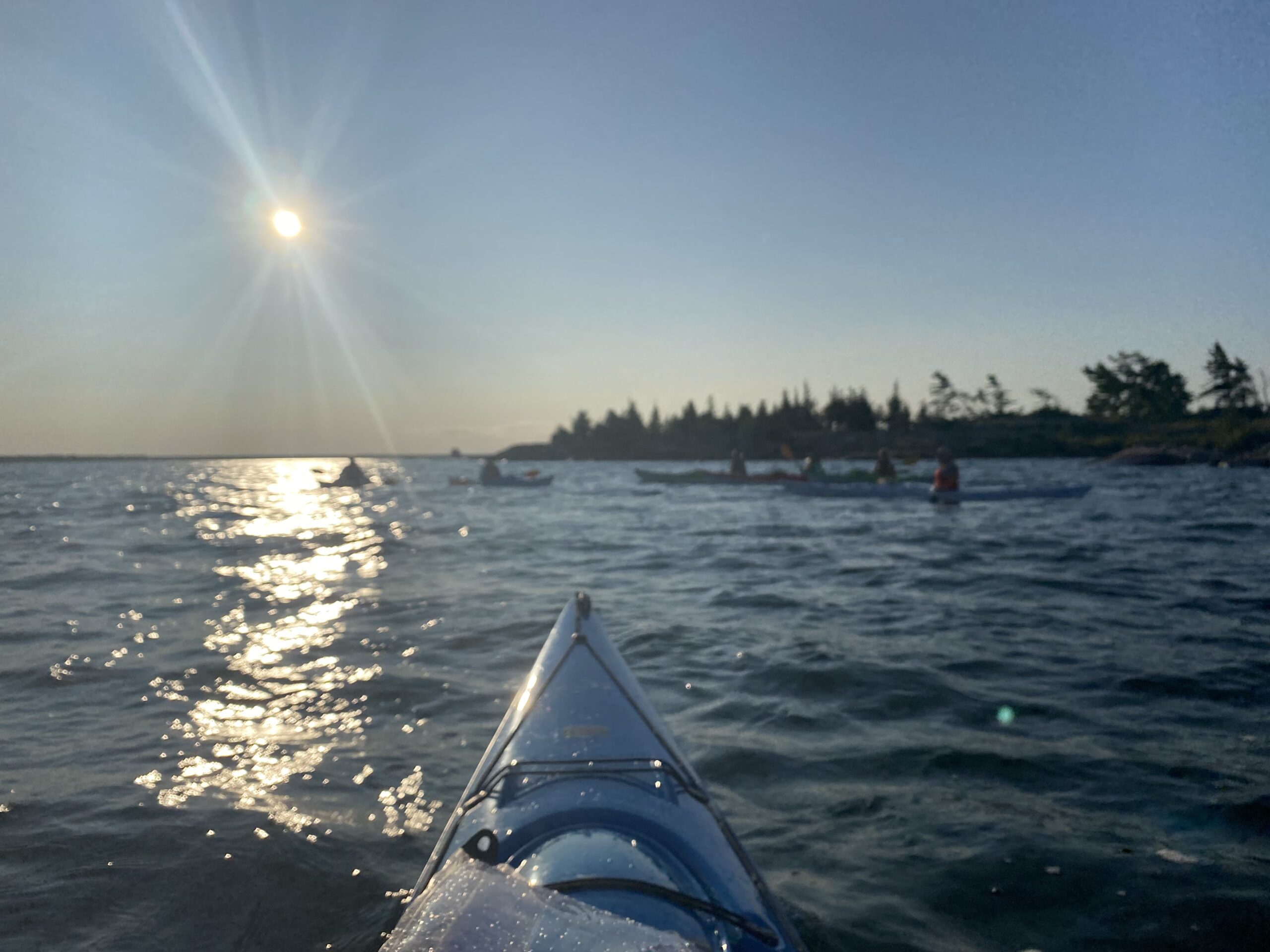 Jennifer Haddow on how reconnecting with nature saved her life ...