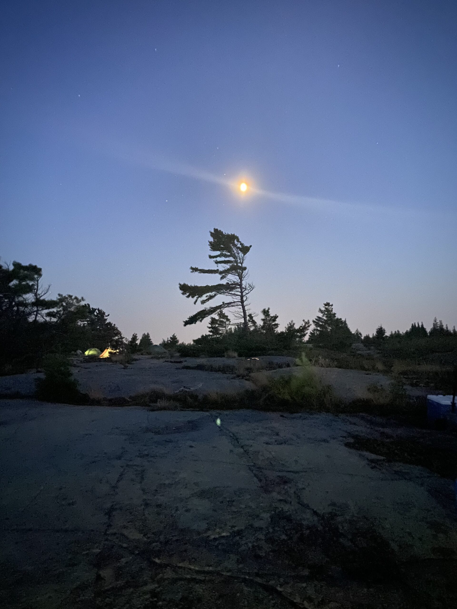 Jennifer Haddow on how reconnecting with nature saved her life ...