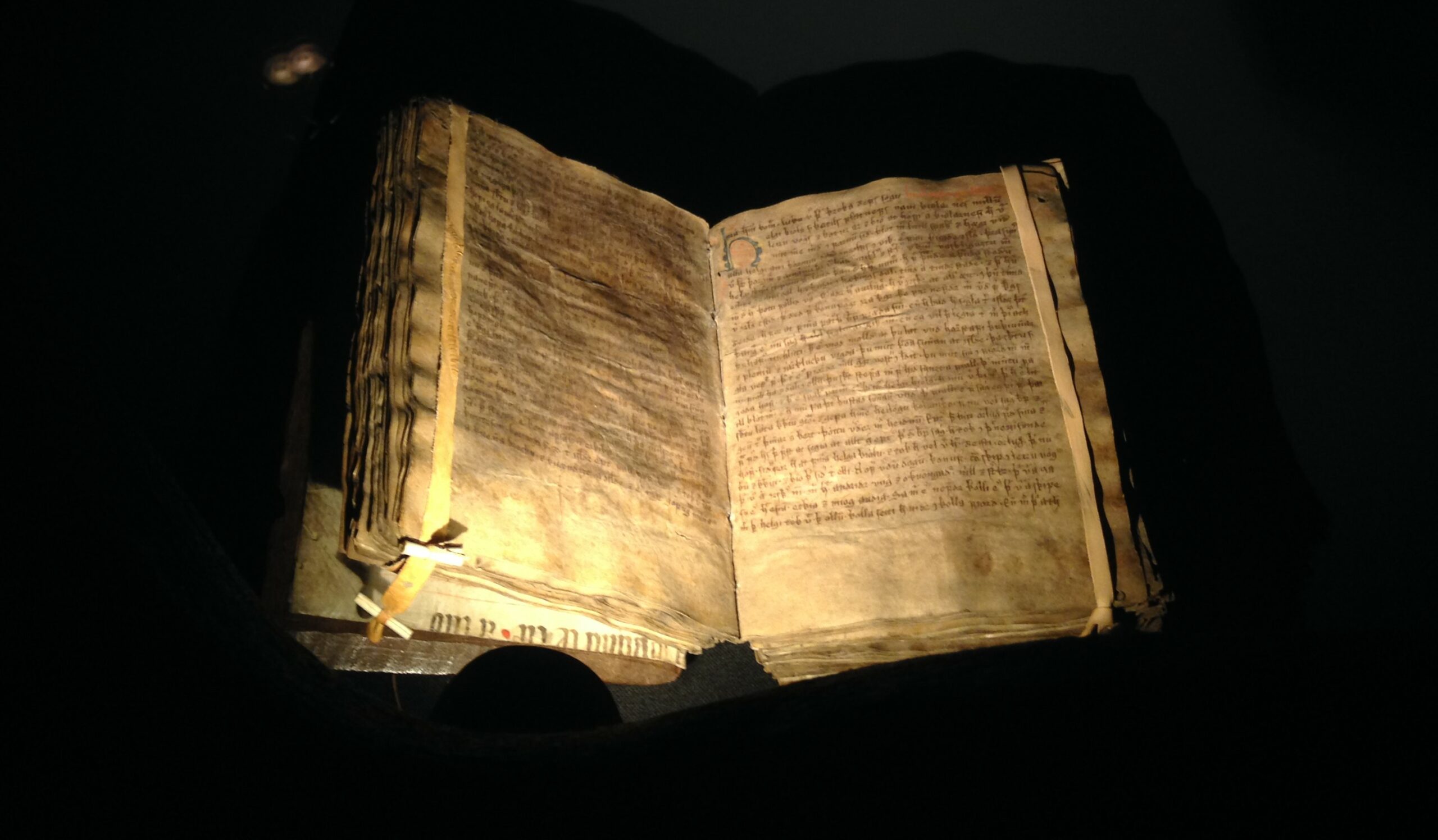 Gone Viking with Bill Arnott | Canadian Geographic