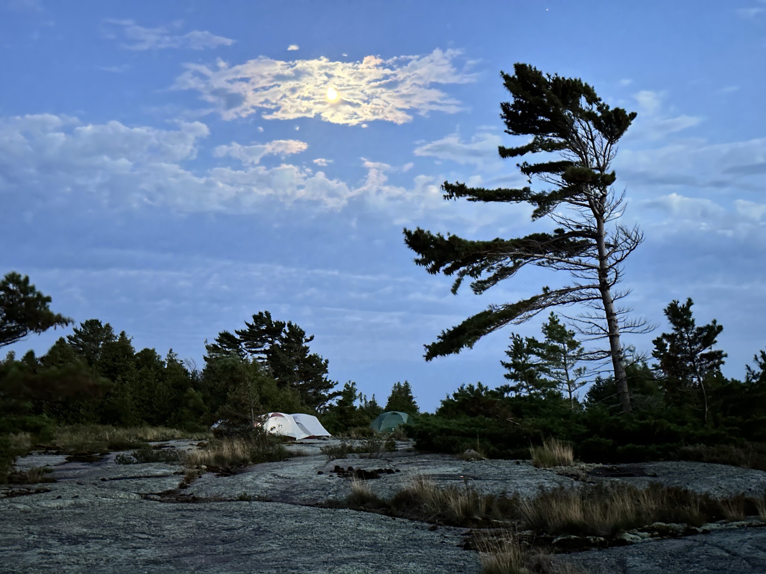 Jennifer Haddow on how reconnecting with nature saved her life ...