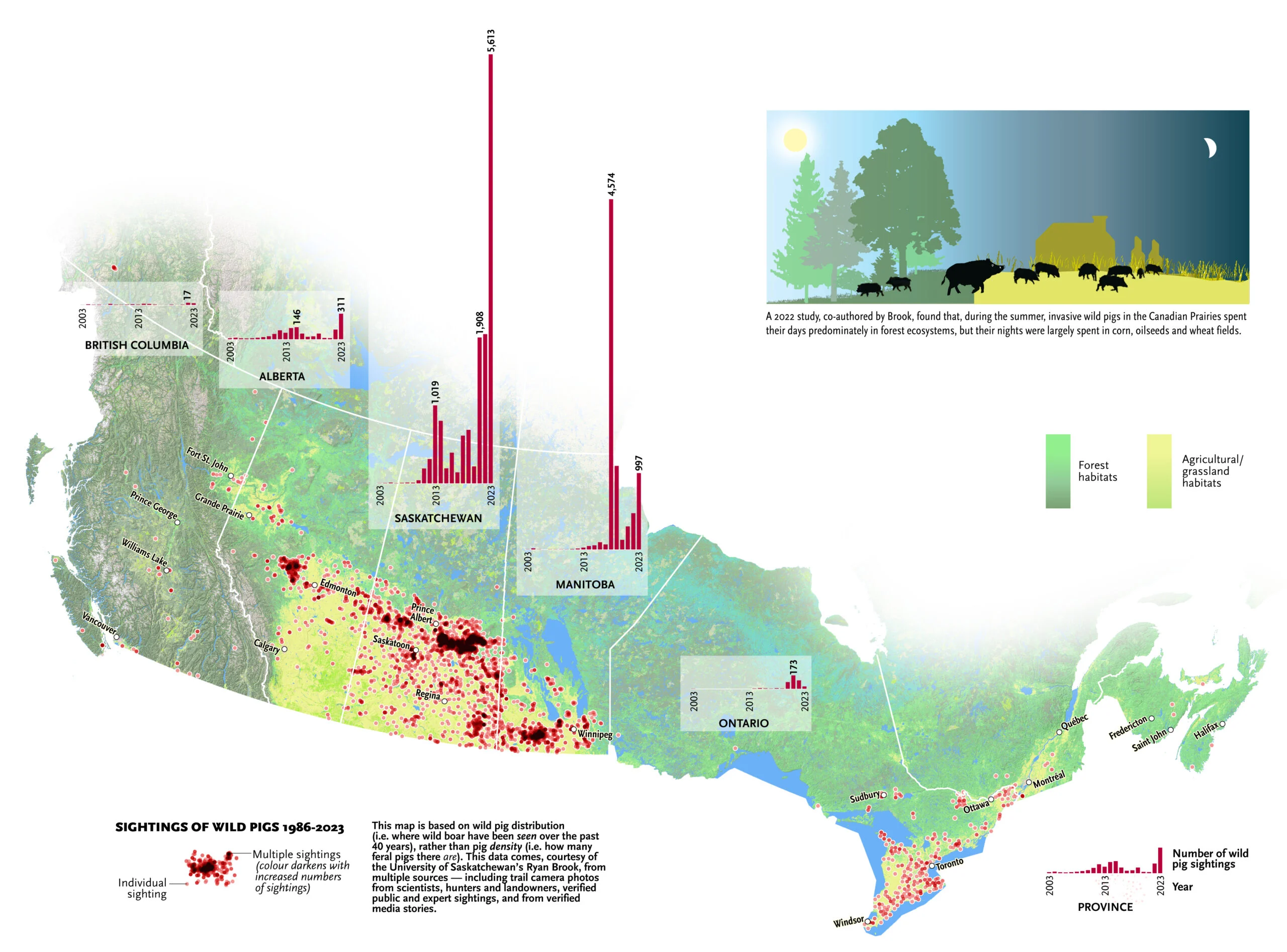 Can we beat back the boar? | Canadian Geographic