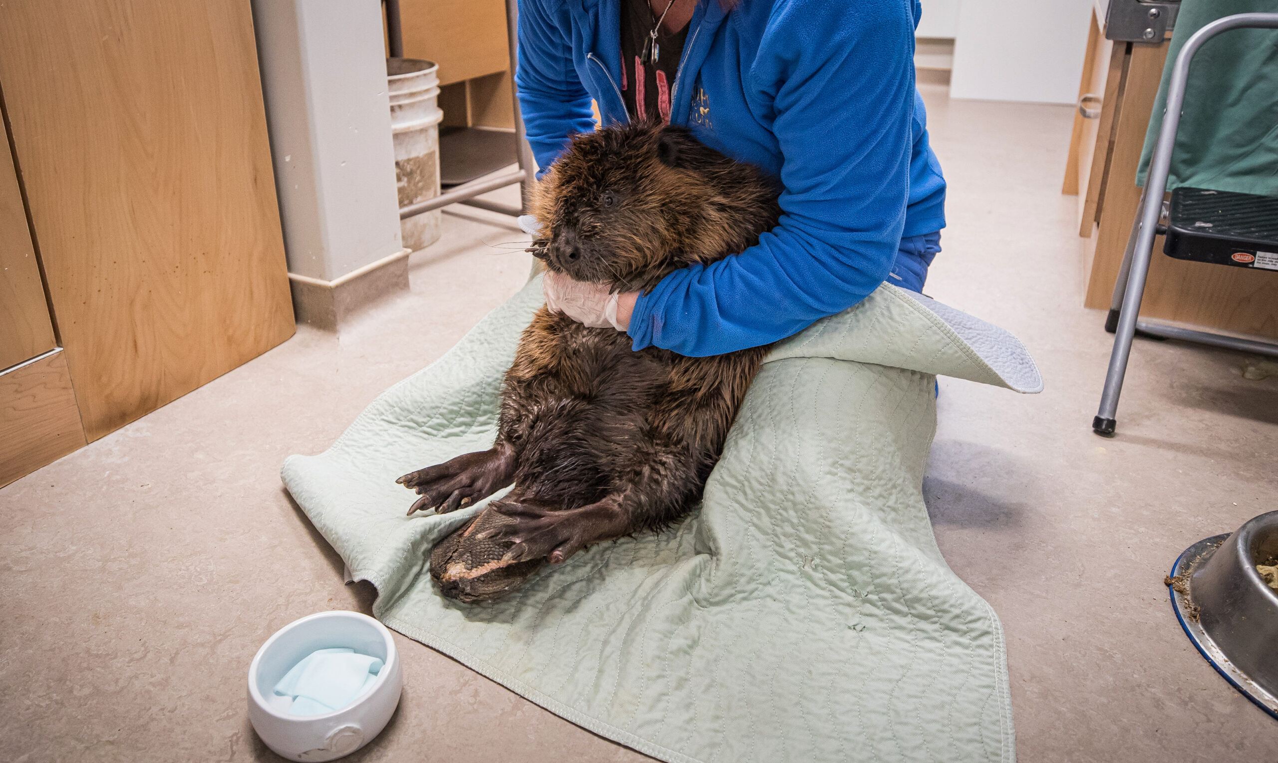 Photos: behind the scenes of Hope for Wildlife | Canadian Geographic