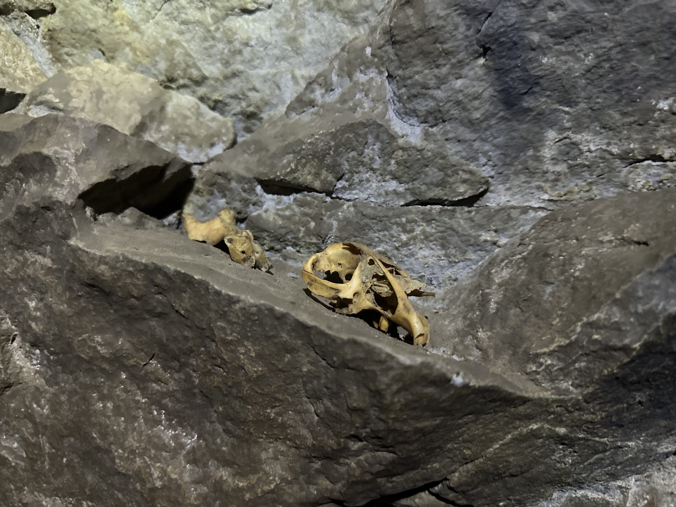 Caving in the Canadian Rockies | Canadian Geographic