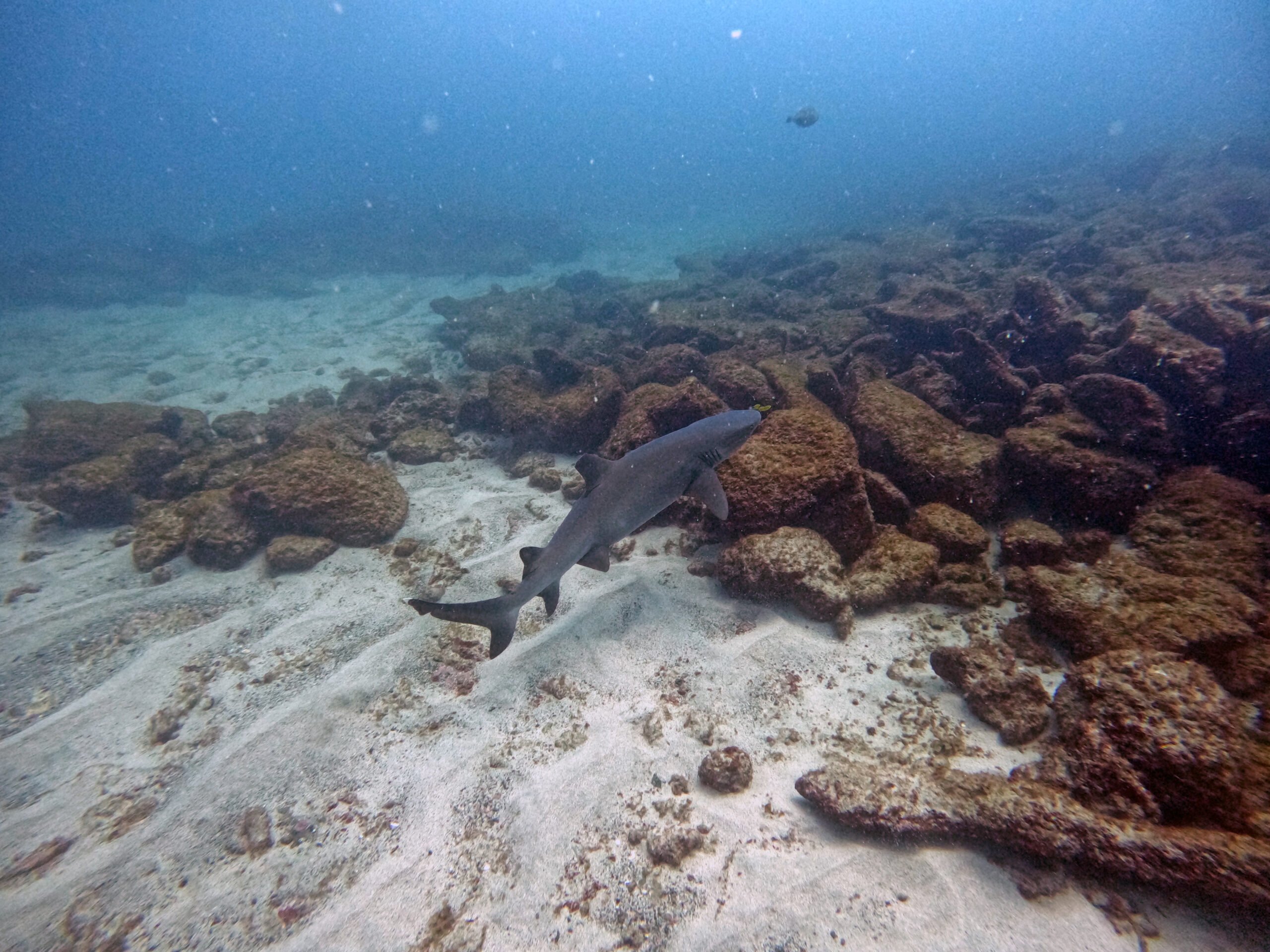 The Essential Itinerary: Santa Teresa, Costa Rica | Canadian Geographic