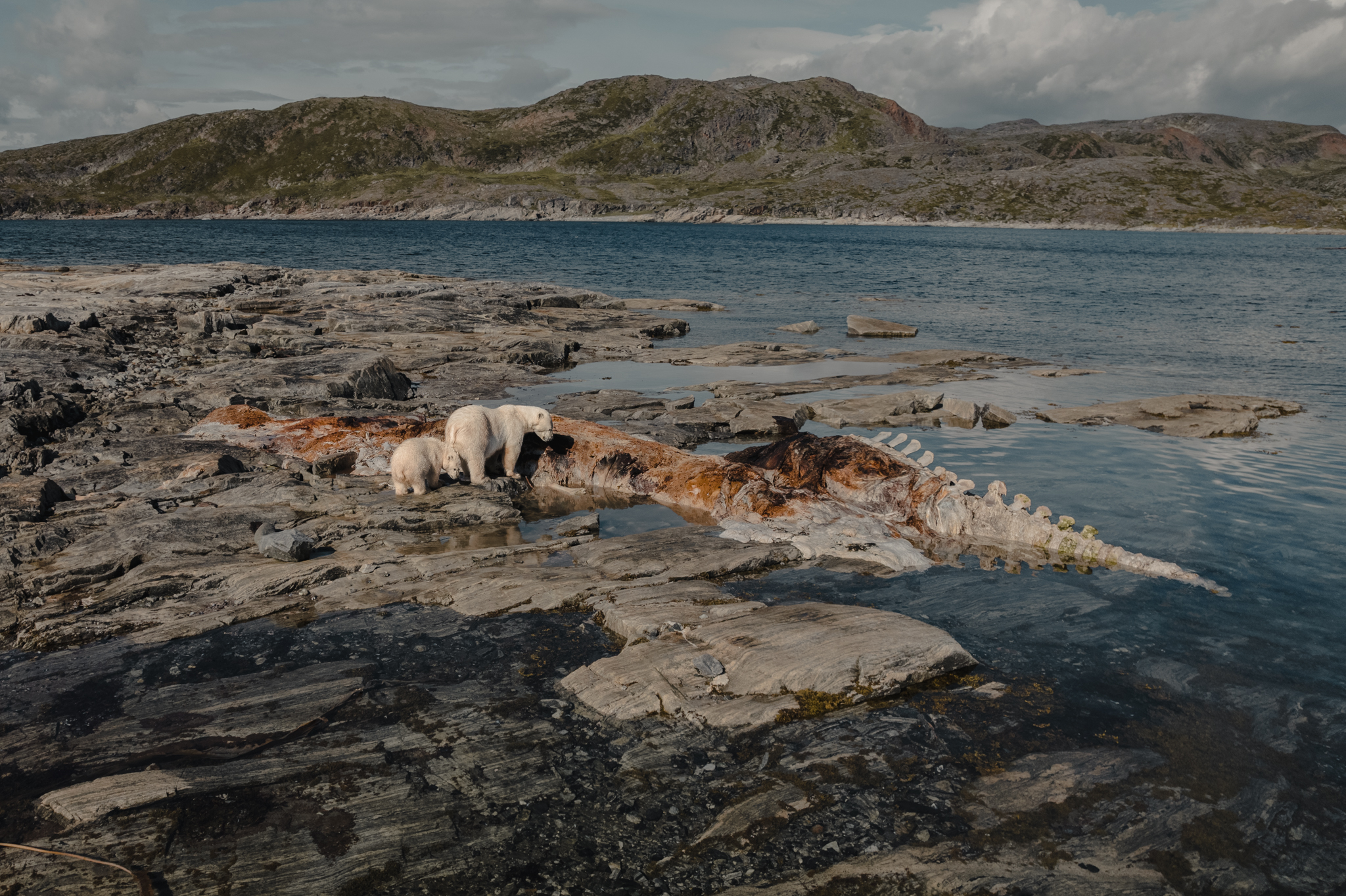 Beauty and darkness: The Northern Labrador Inuit homeland | Canadian ...
