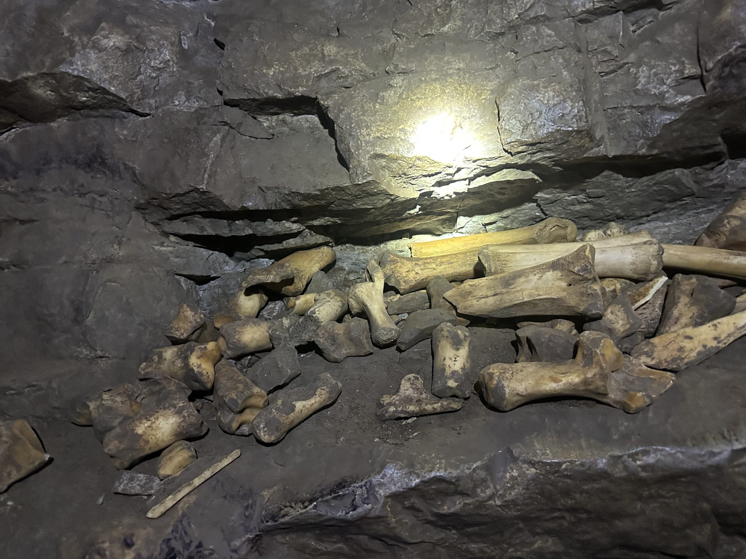 Caving in the Canadian Rockies | Canadian Geographic