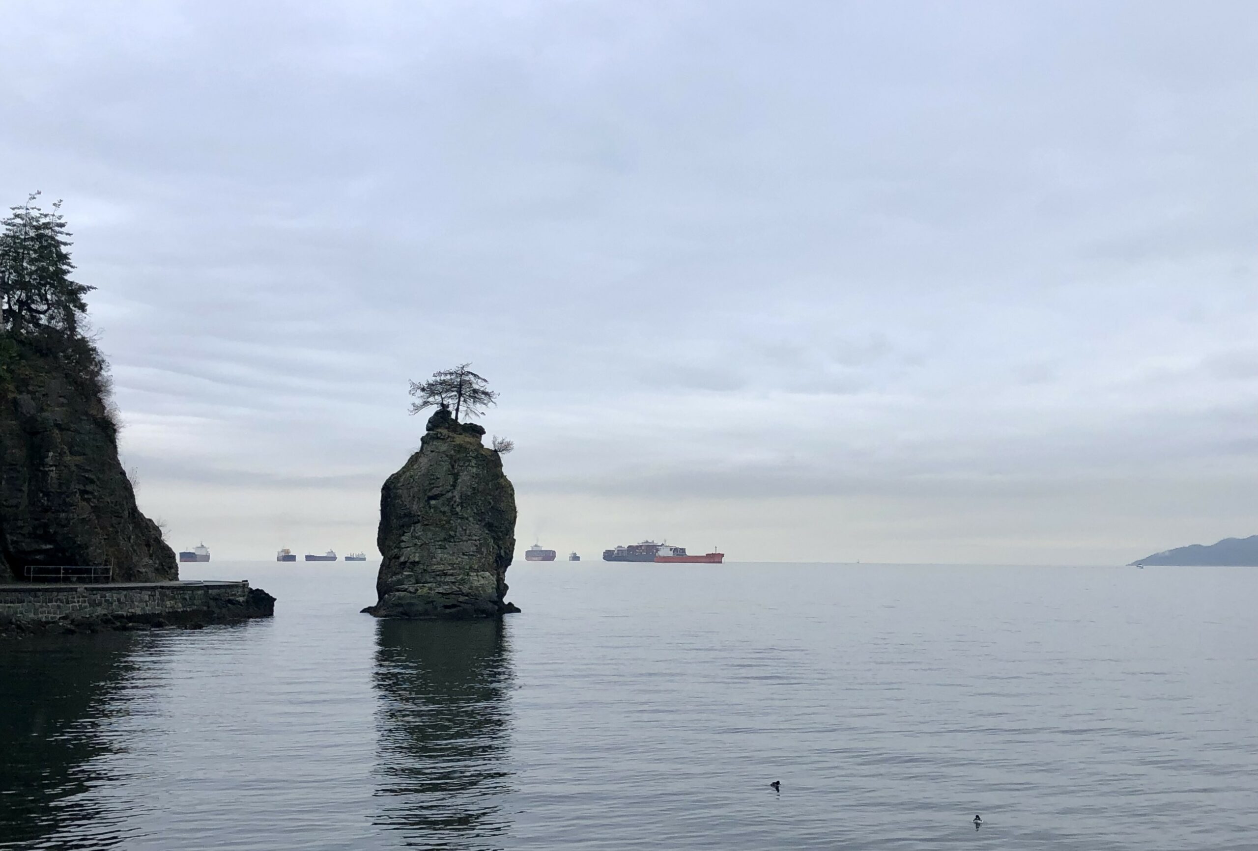 Stanley Park: Vancouver’s iconic greenspace | Canadian Geographic