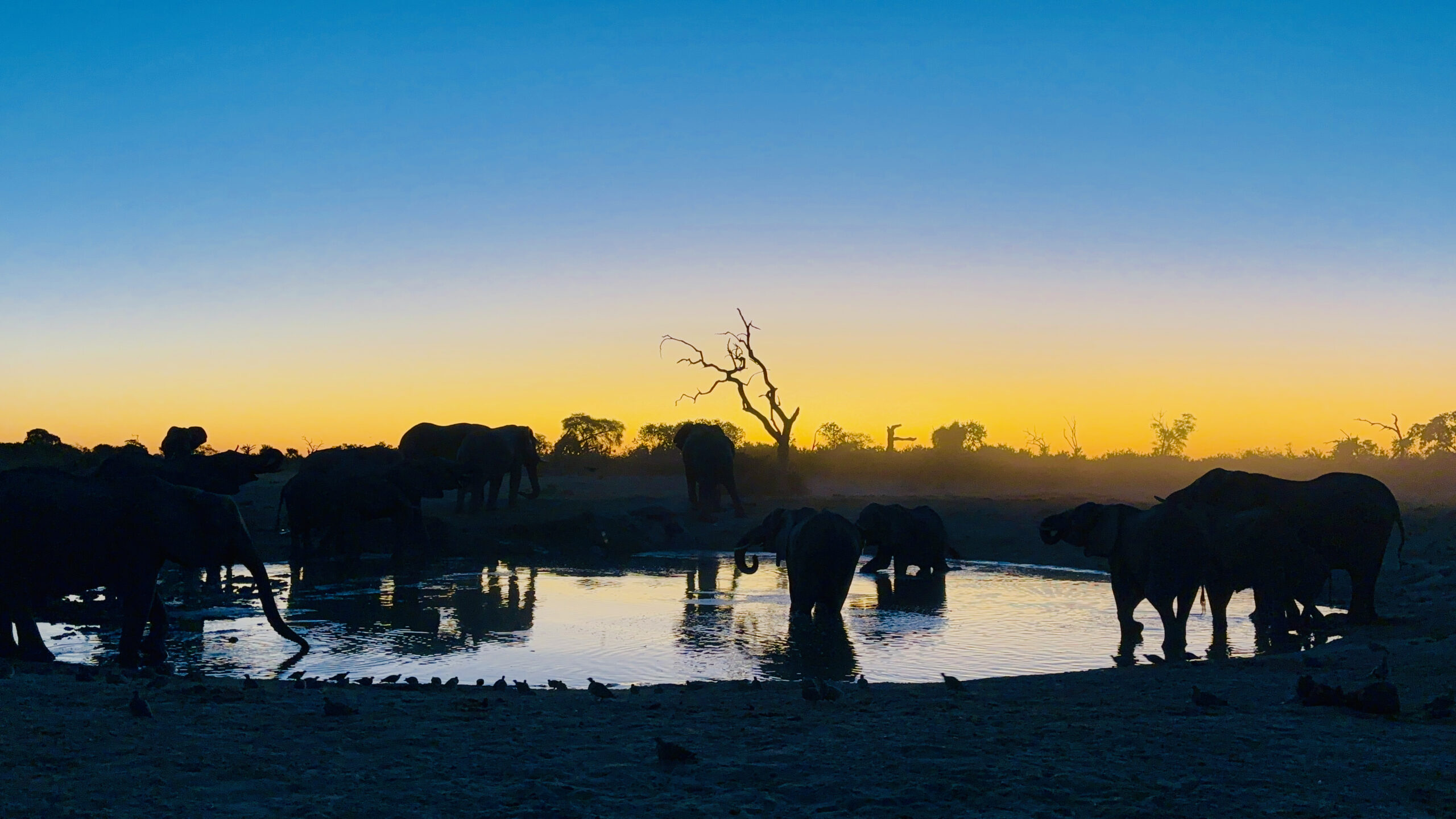 Wild safaris and epic sunsets in Botswana | Canadian Geographic