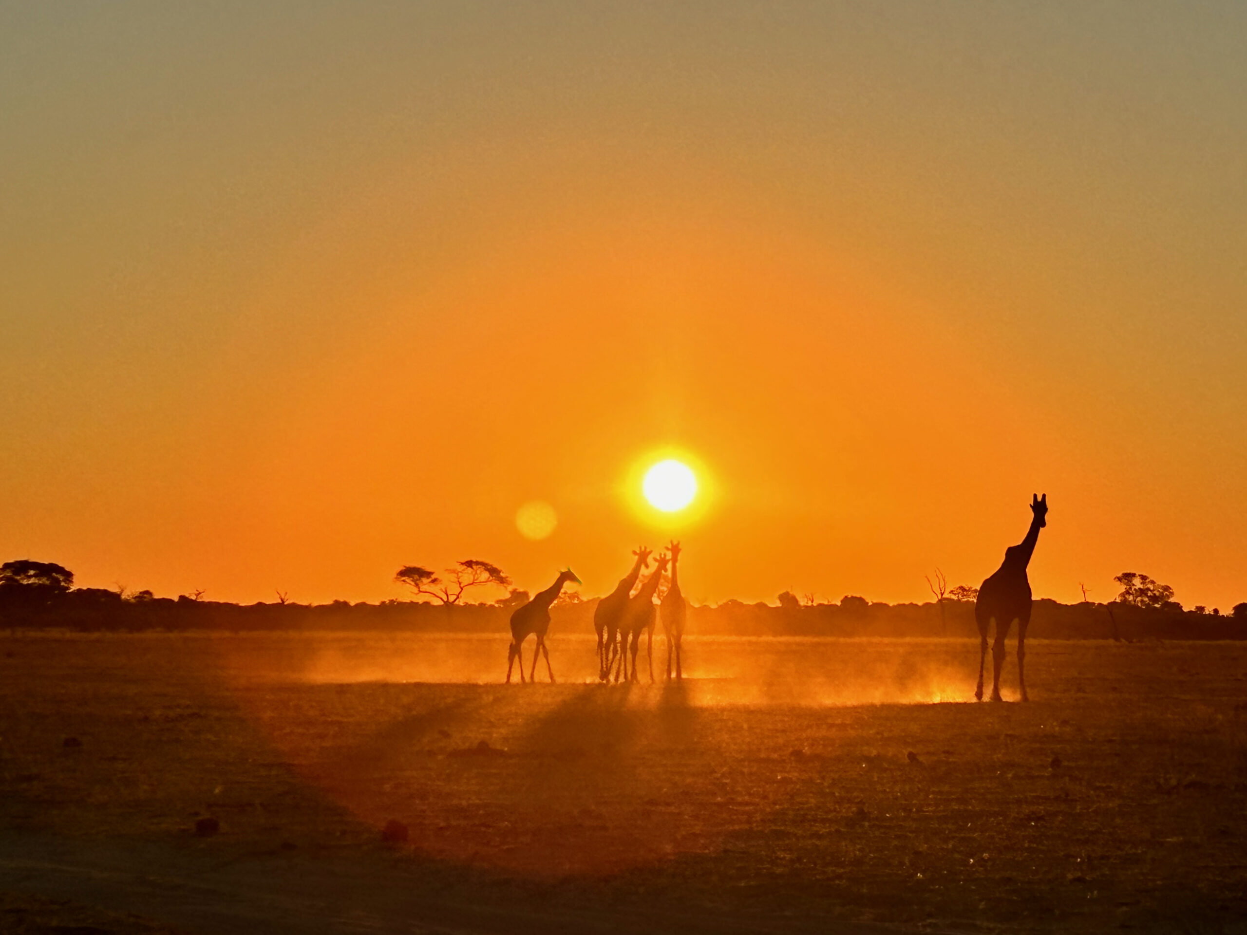 Wild safaris and epic sunsets in Botswana | Canadian Geographic