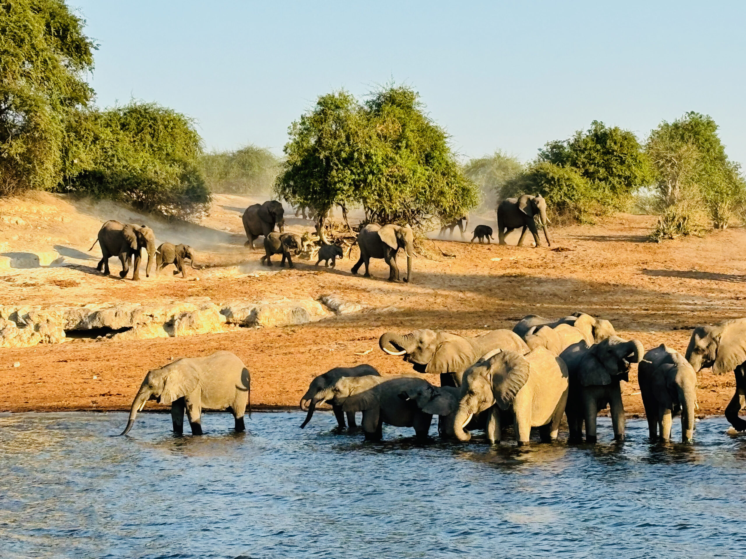 Wild safaris and epic sunsets in Botswana | Canadian Geographic