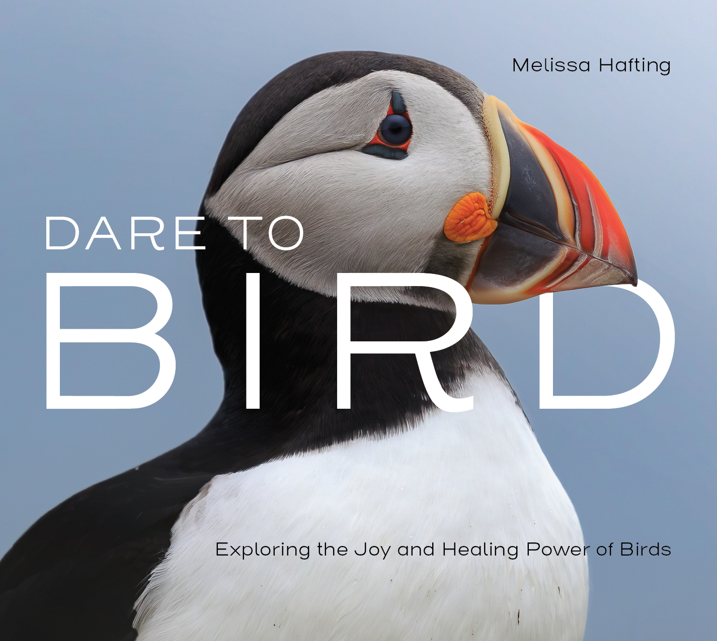 Melissa Hafting on the healing power of birds | Canadian Geographic