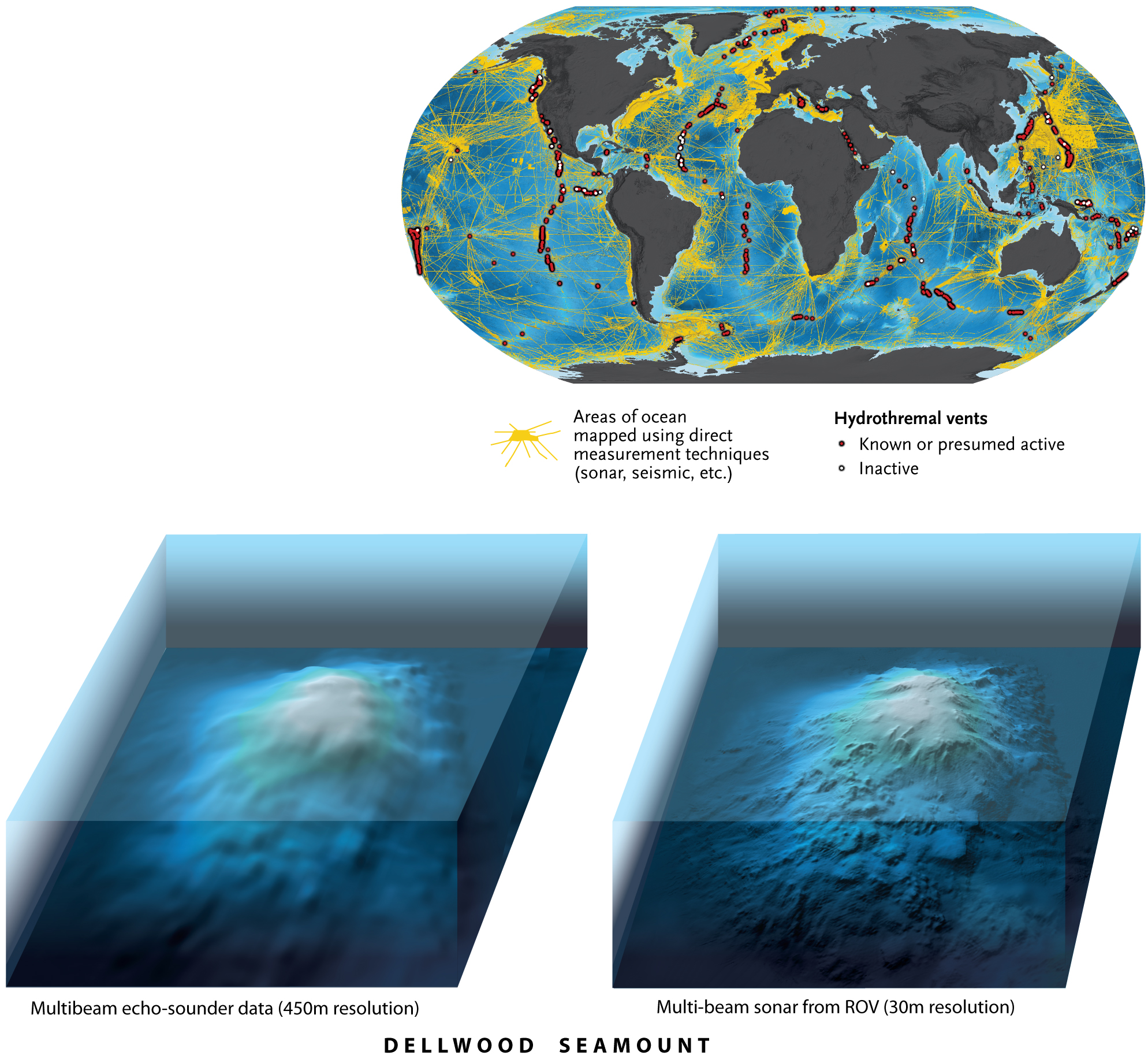 Wonder and loss: the deep ocean and its future | Canadian Geographic