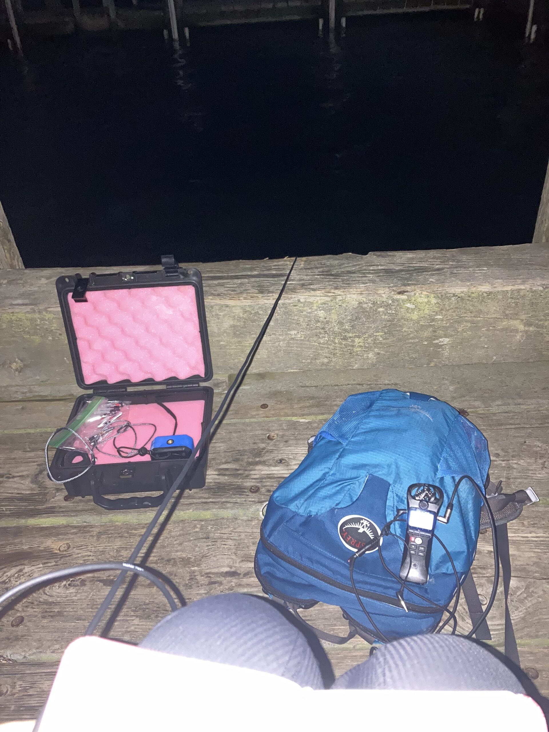 Excerpt from Sing Like Fish: How Sound Rules Life Under Water ...