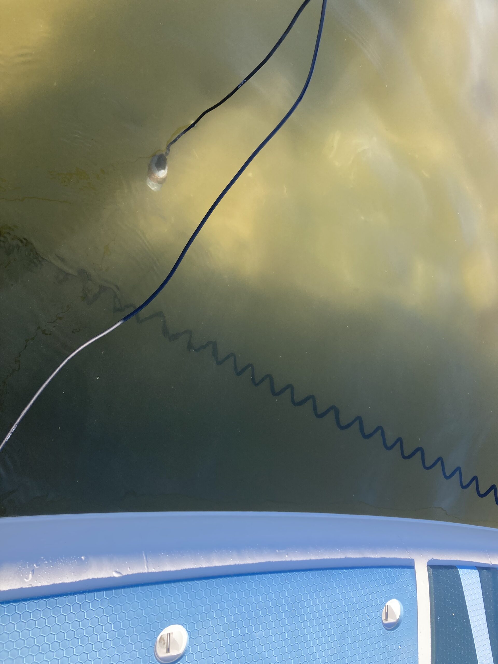 Excerpt from Sing Like Fish: How Sound Rules Life Under Water ...