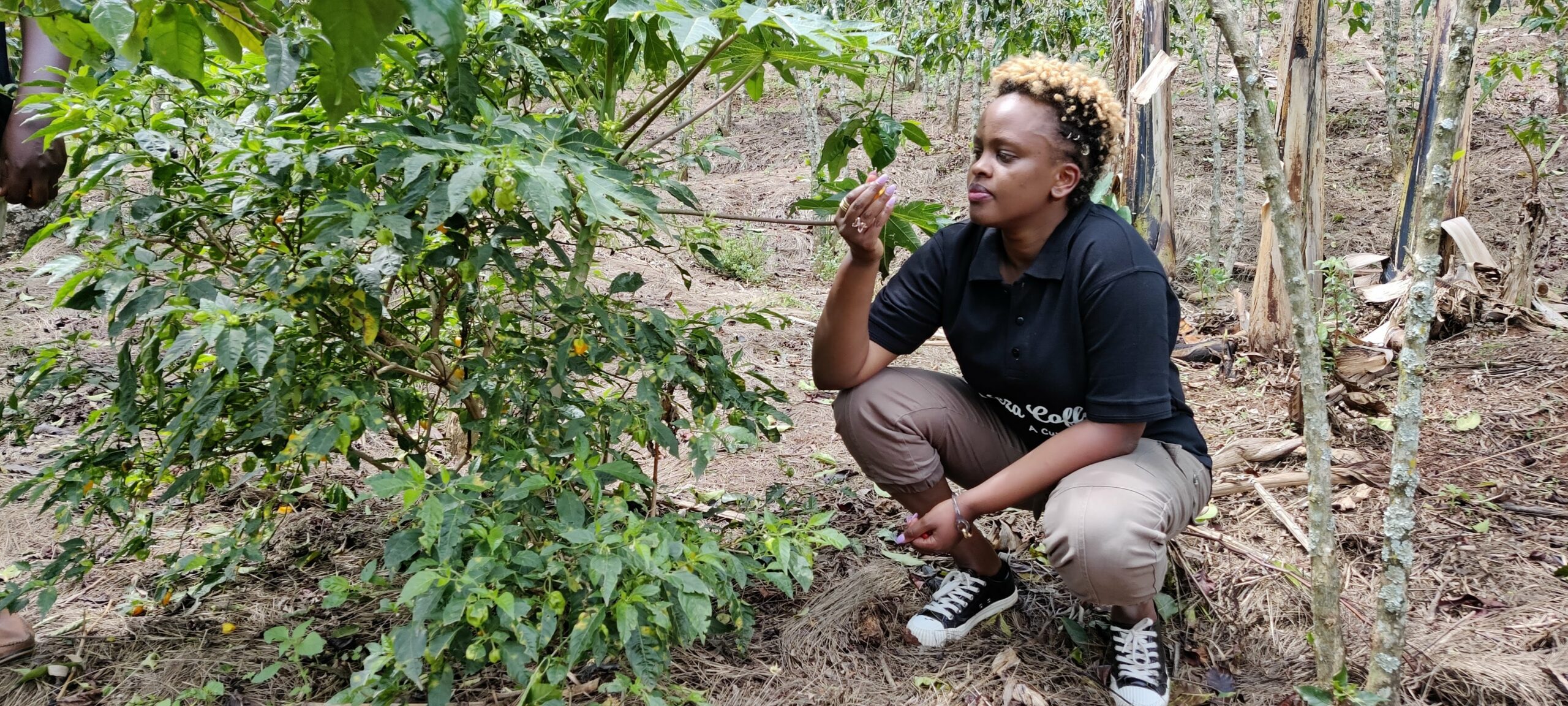 Roasting resilience: Nadine Umutoni’s coffee mission | Canadian Geographic