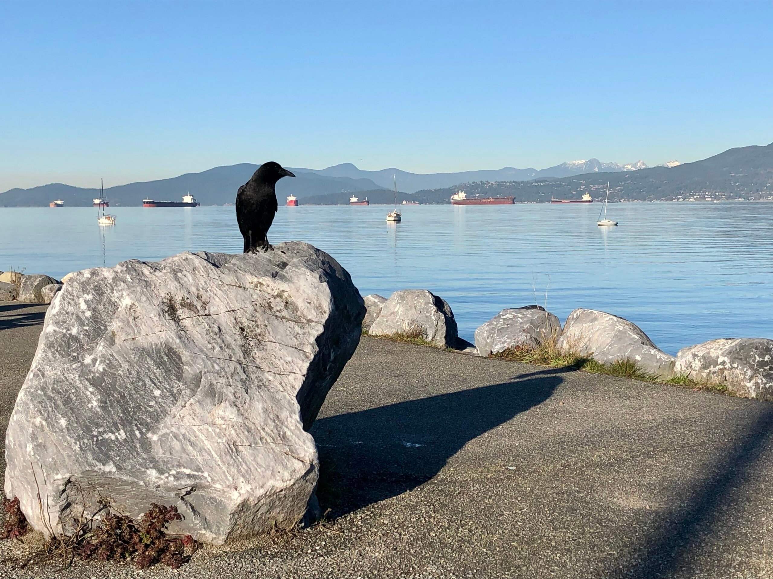 A perfect day in Vancouver’s Kitsilano | Canadian Geographic