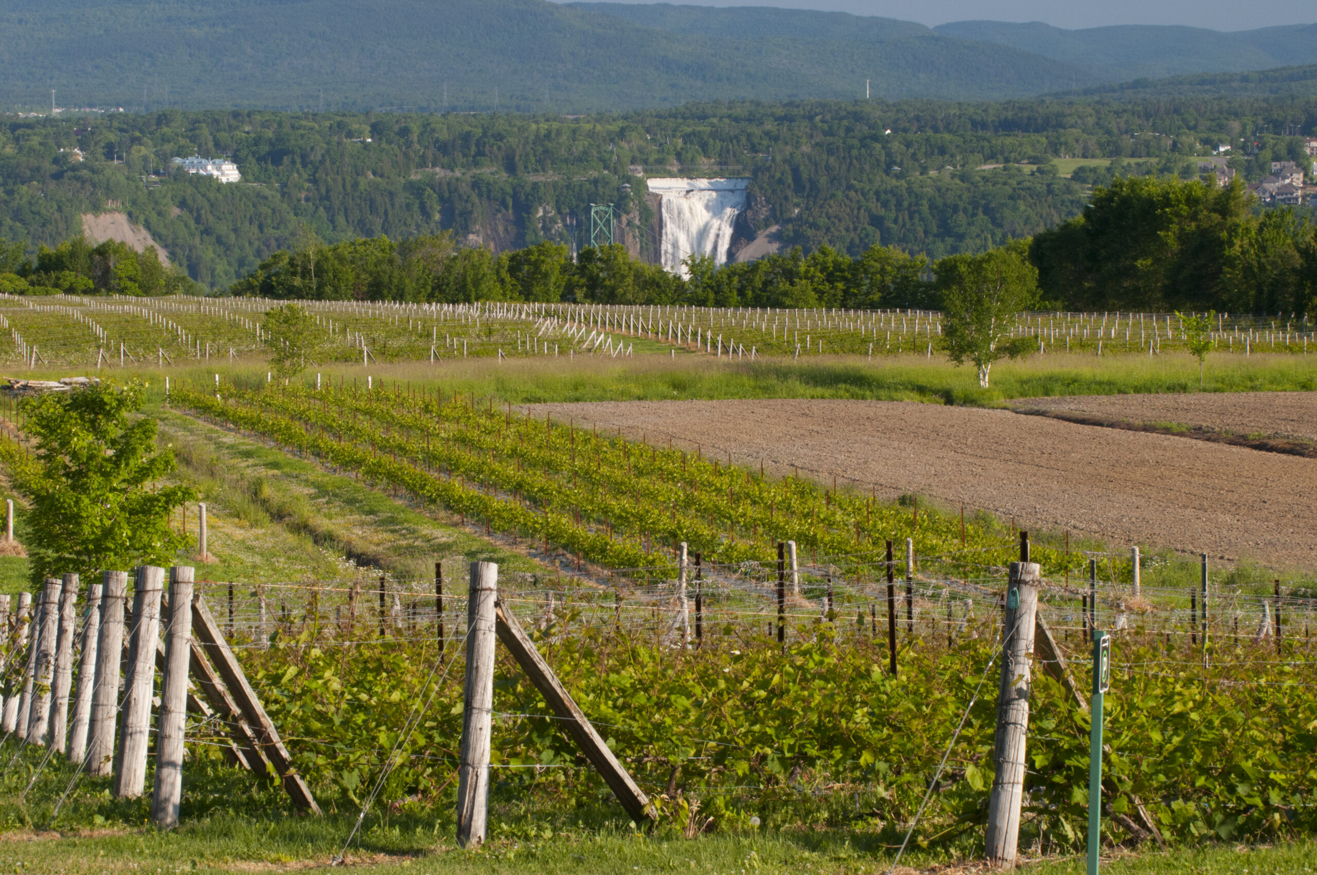 The Essential Itinerary: Quebec City with kids | Canadian Geographic