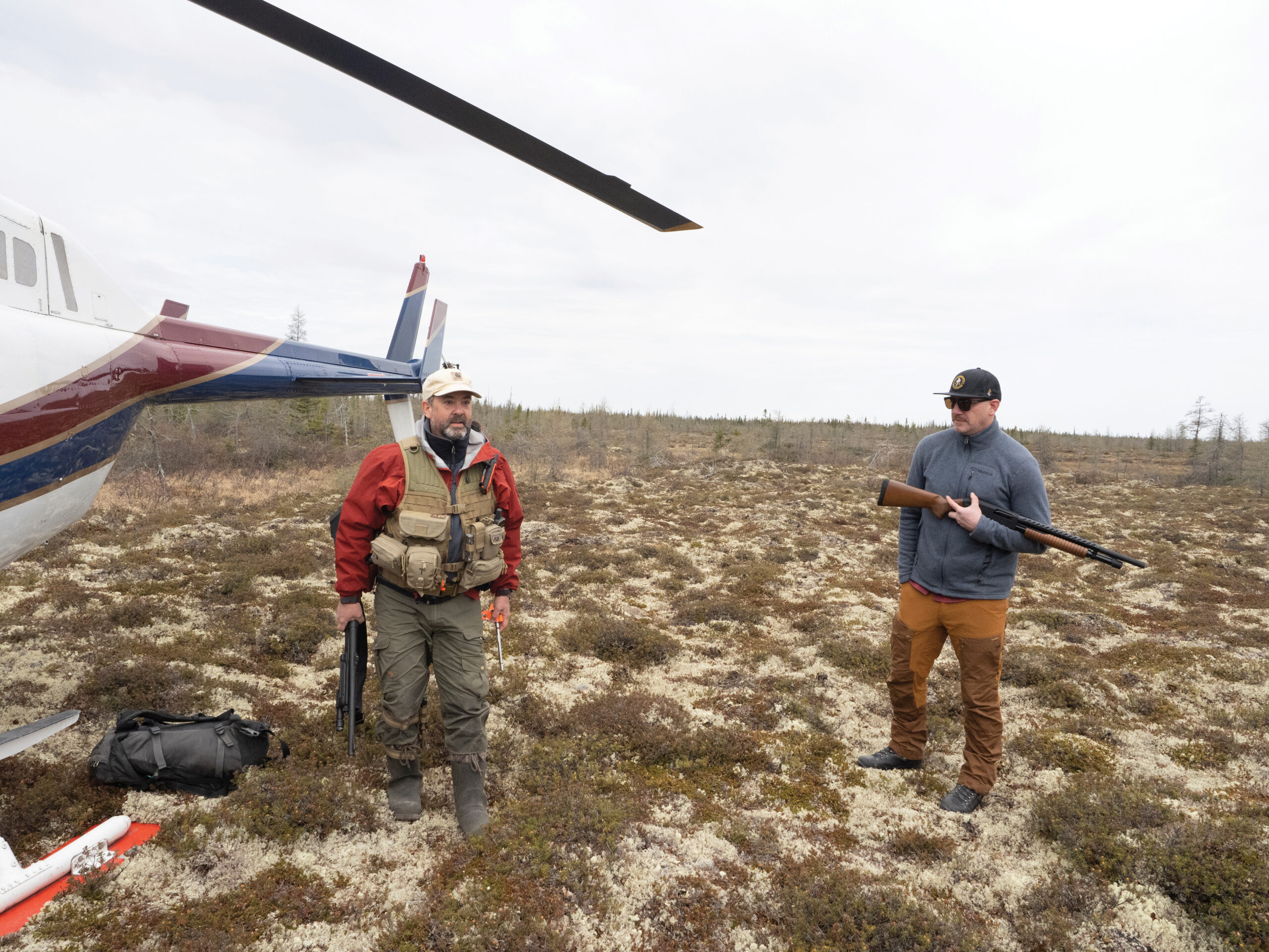 Unpacking the mystery of grizzly bears in Wapusk National Park ...