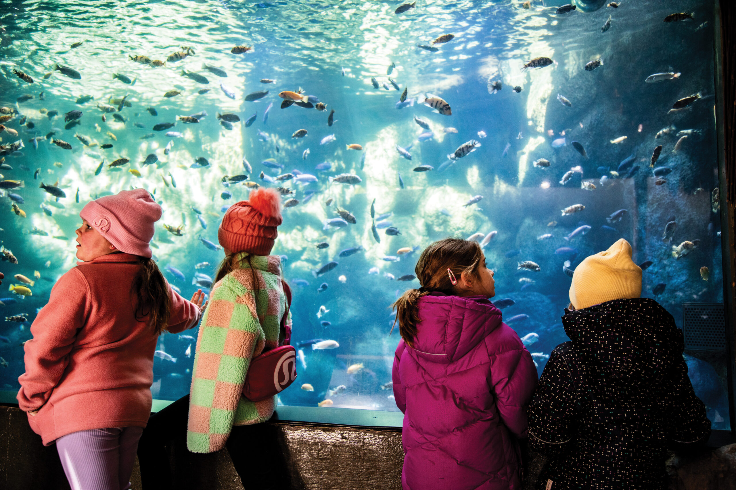 Celebrating 50 years of the Toronto Zoo | Canadian Geographic