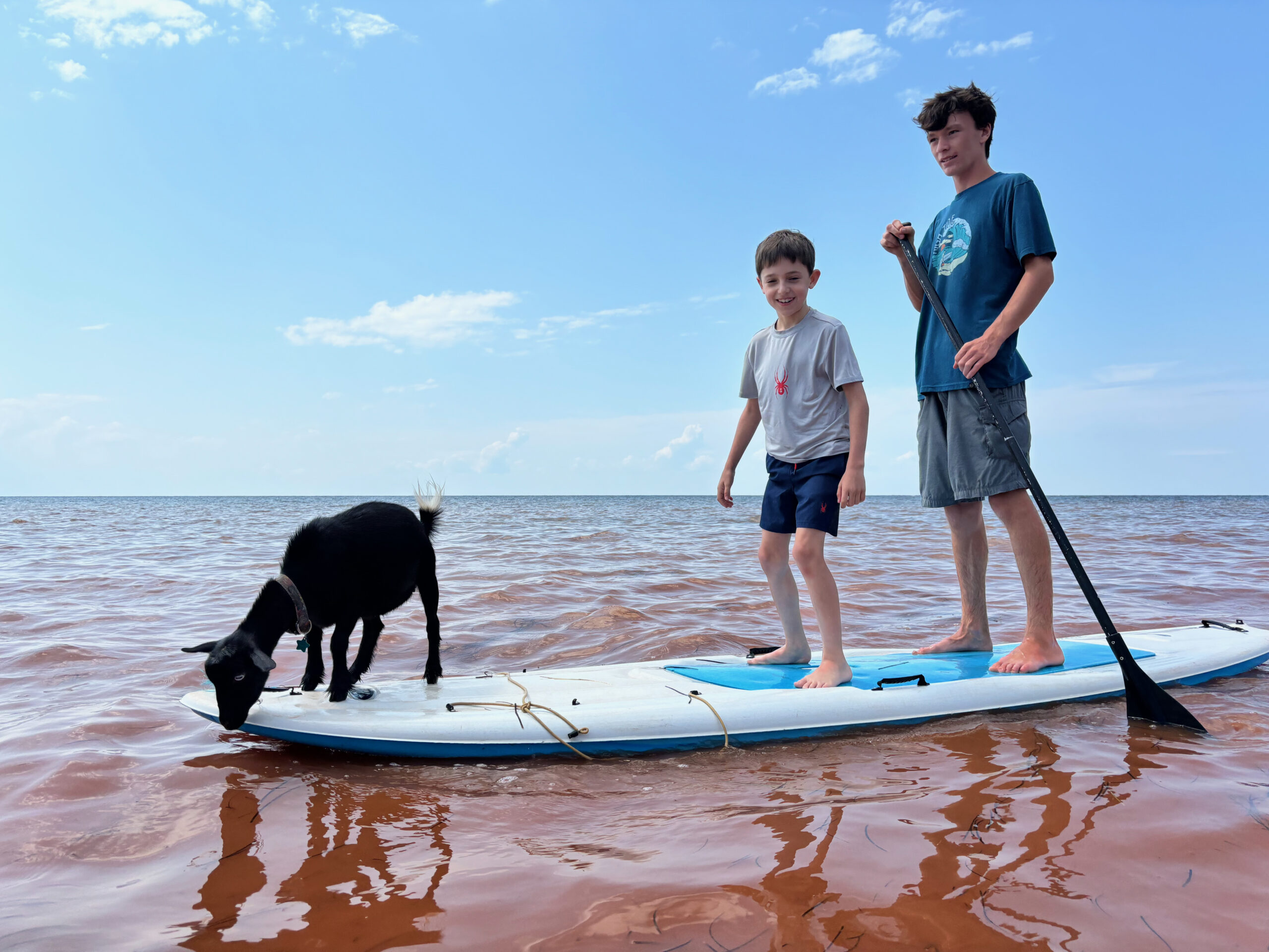 Float on a boat with a goat in Prince Edward Island | Canadian Geographic